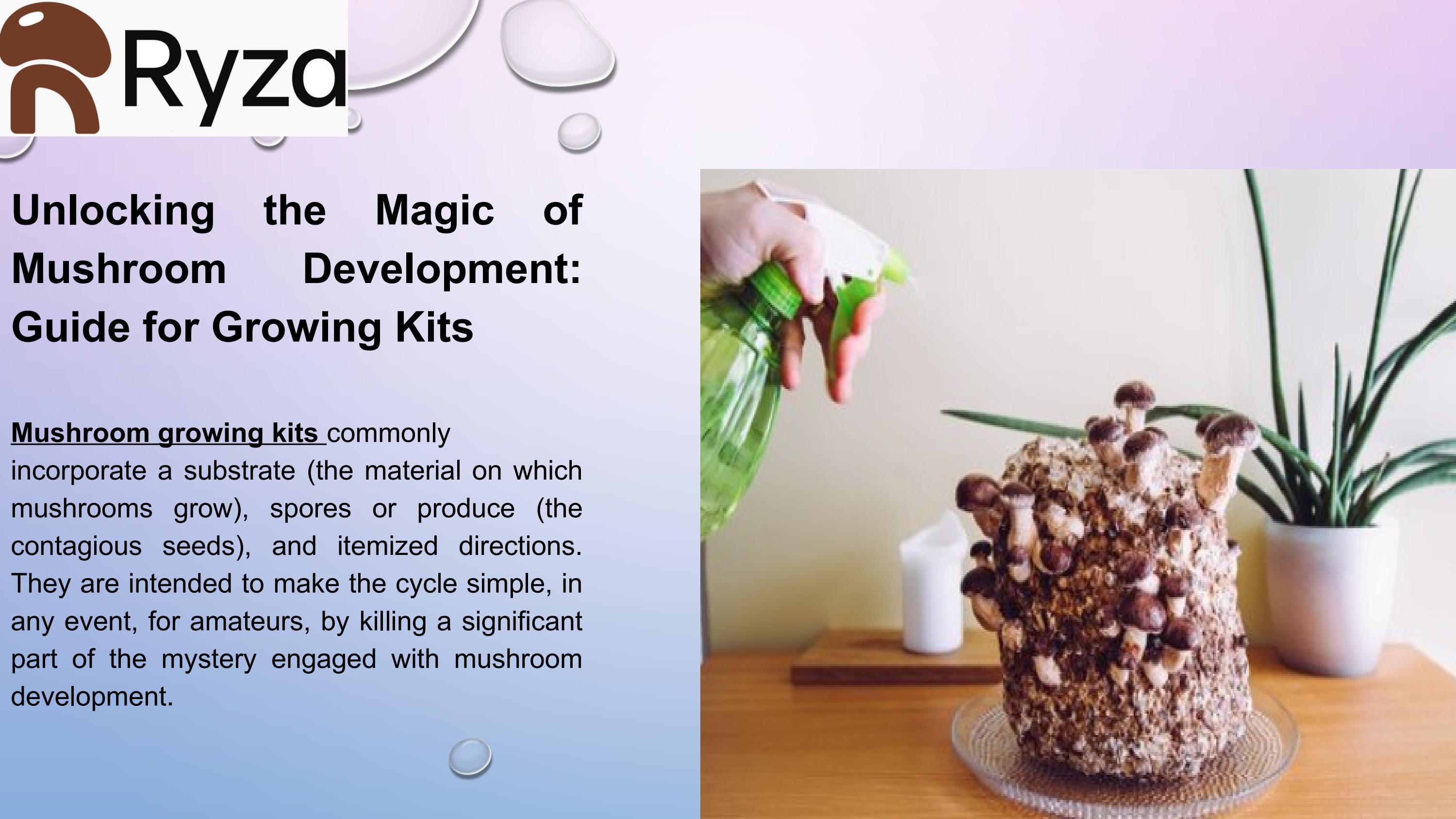 Mushroom growing kits commonly incorporate a substrate (the material on which mushrooms grow ...