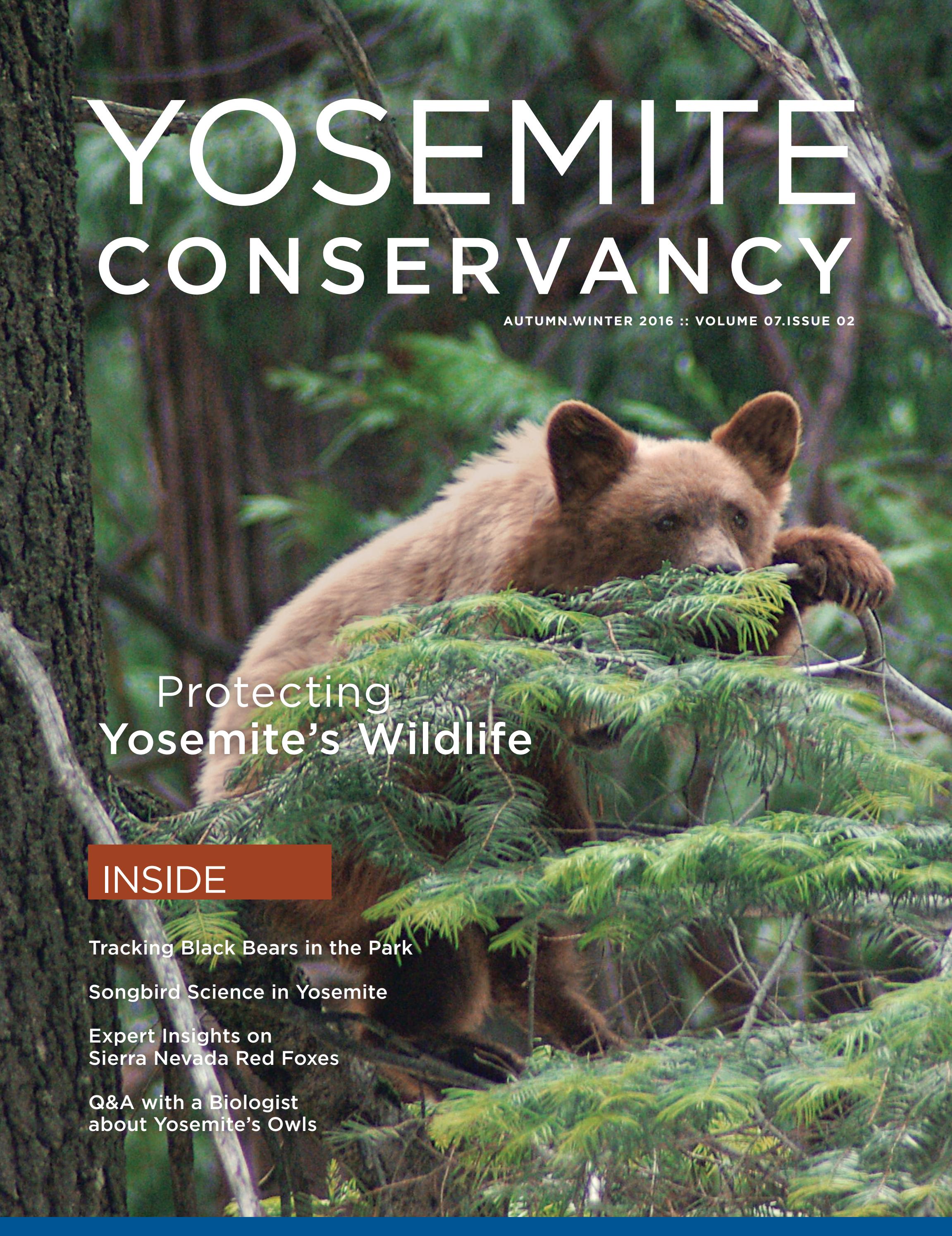 2016 Autumn/Winter Magazine – Yosemite Conservancy by Yosemite Conservancy - Issuu