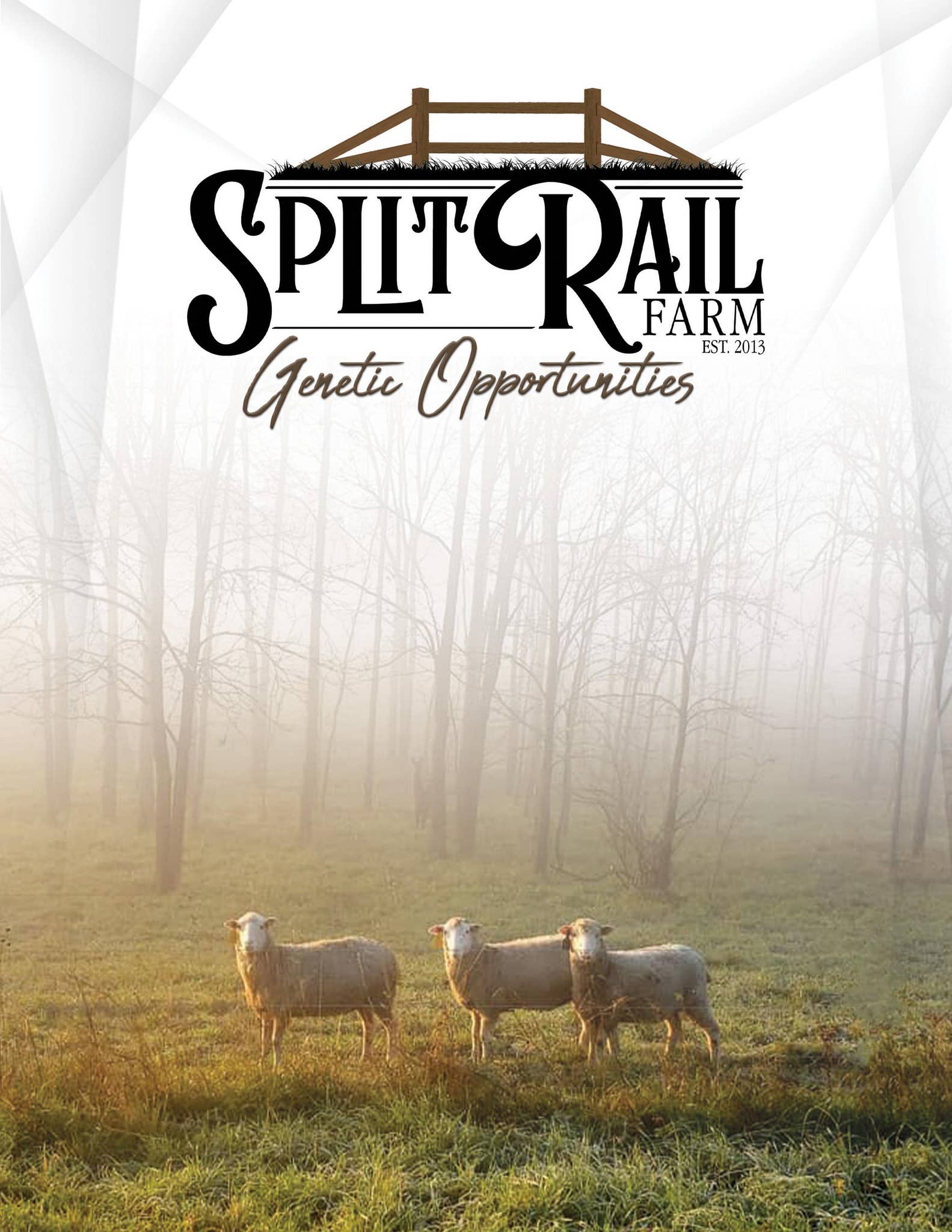 2024 Split Rail Farm Genetic Offering by MP Branded - Issuu