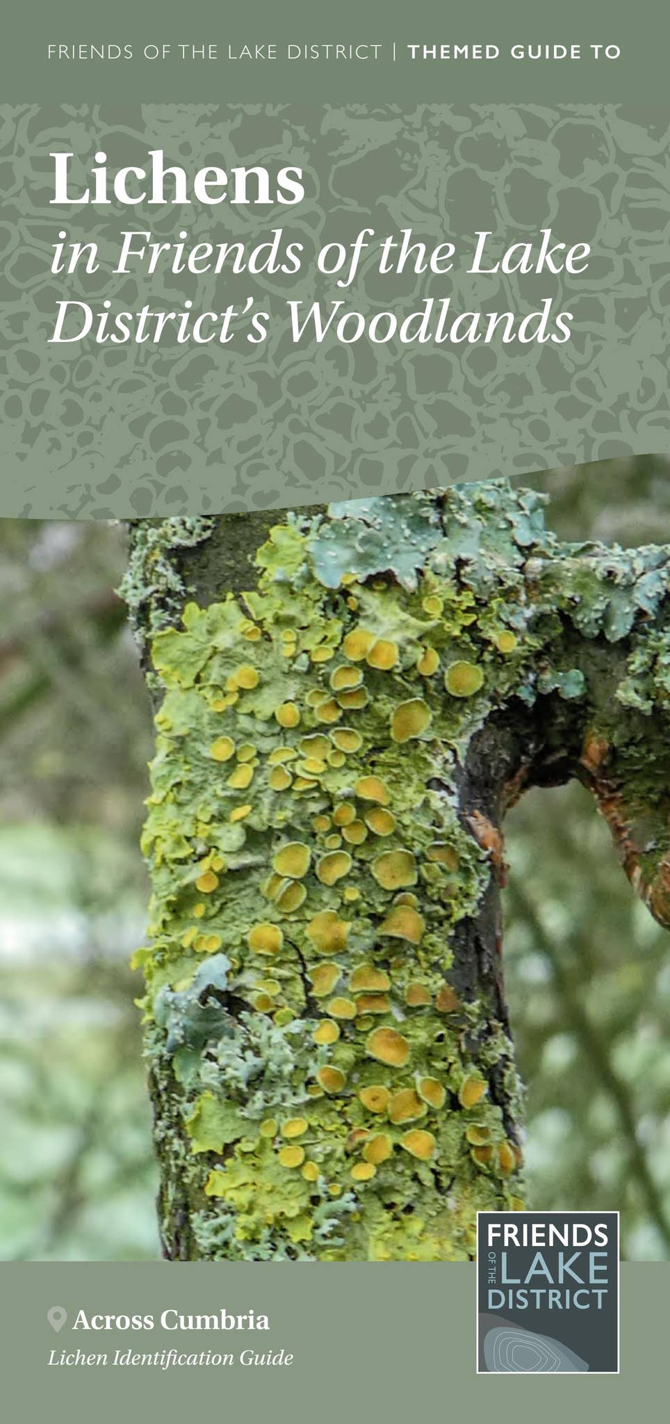 Lichens Guide by Friends of the Lake District - Issuu