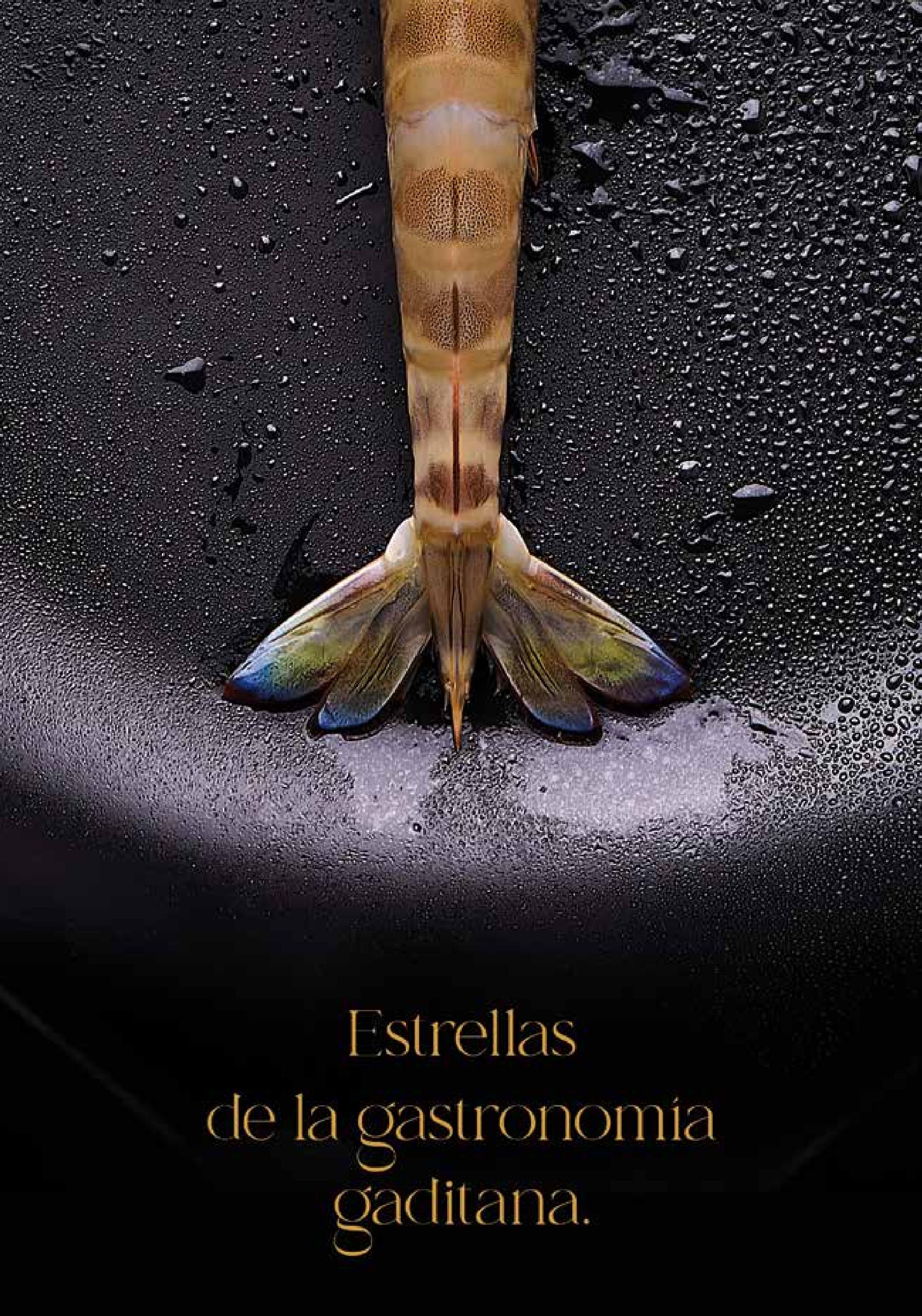 Estrellas de la gastronomía gaditana by Patronato Provincial Turismo de ...