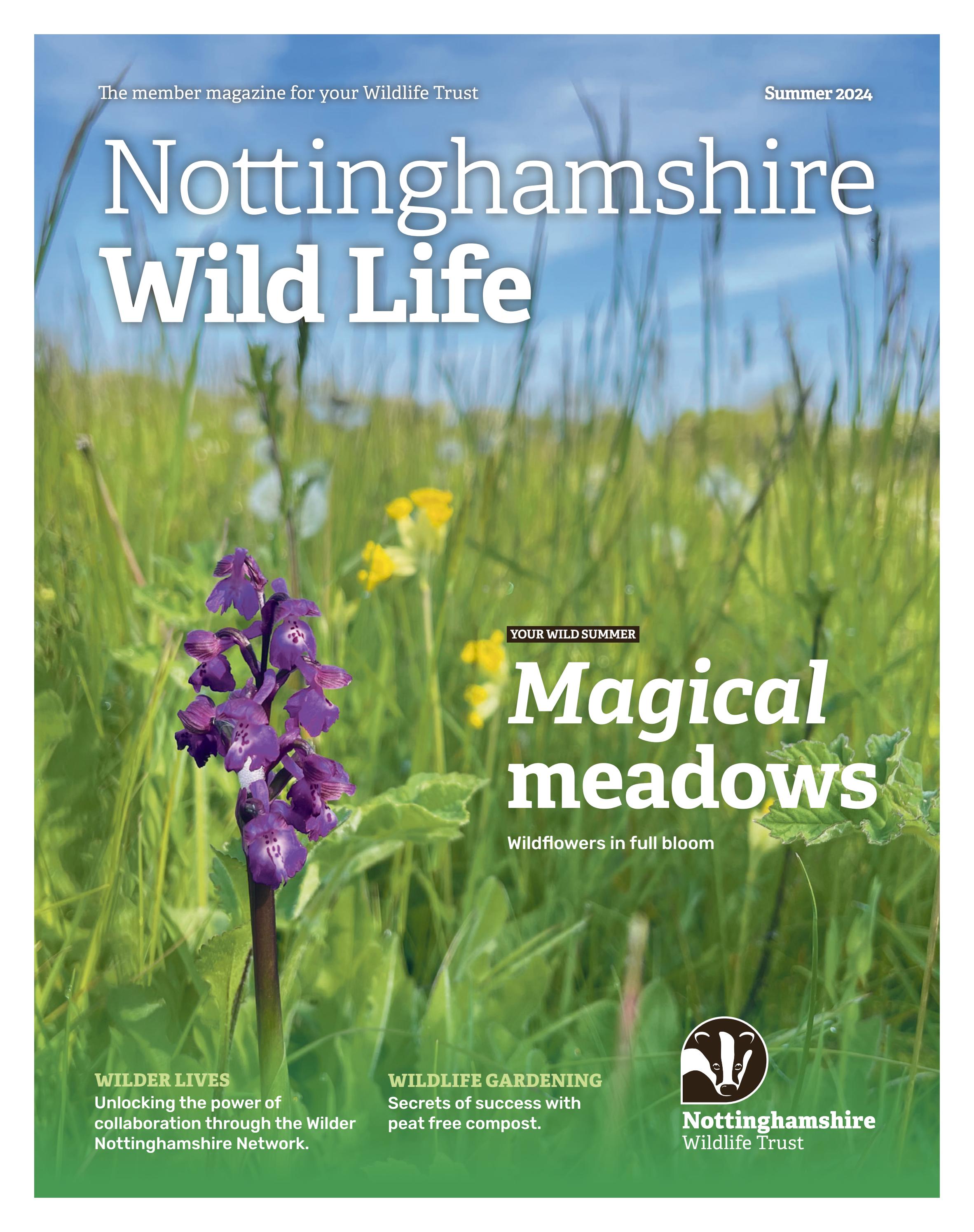 Nottinghamshire Wild Life - Summer 2024 issue by Nottinghamshire ...