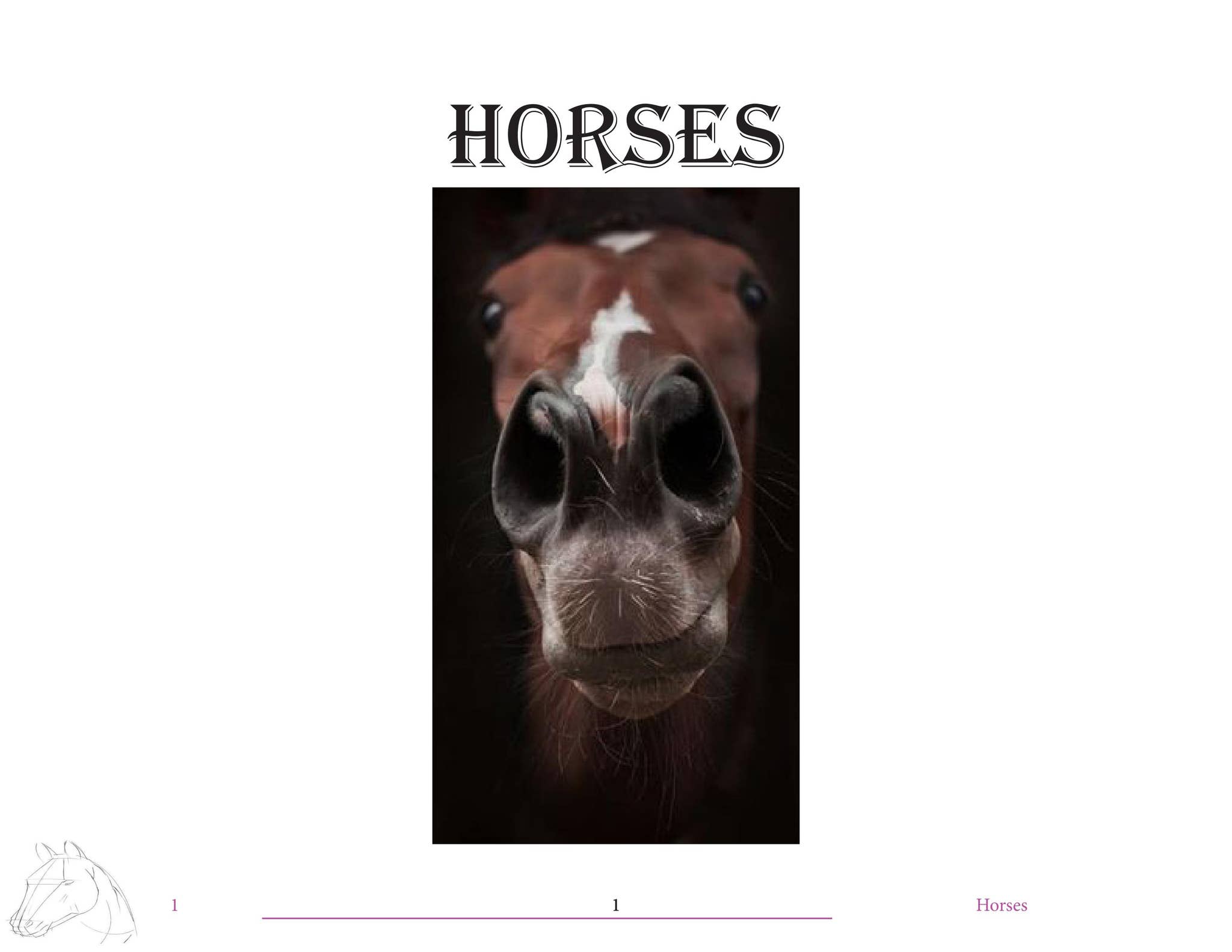 Horses by isabella nichols - Issuu