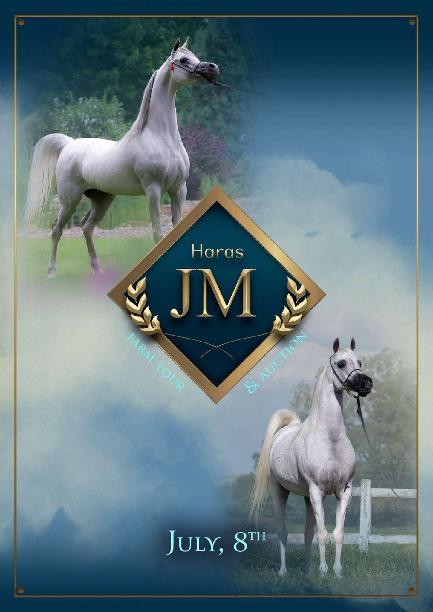 Haras JM Auction 2024 by Vitrine Árabe BR - Issuu