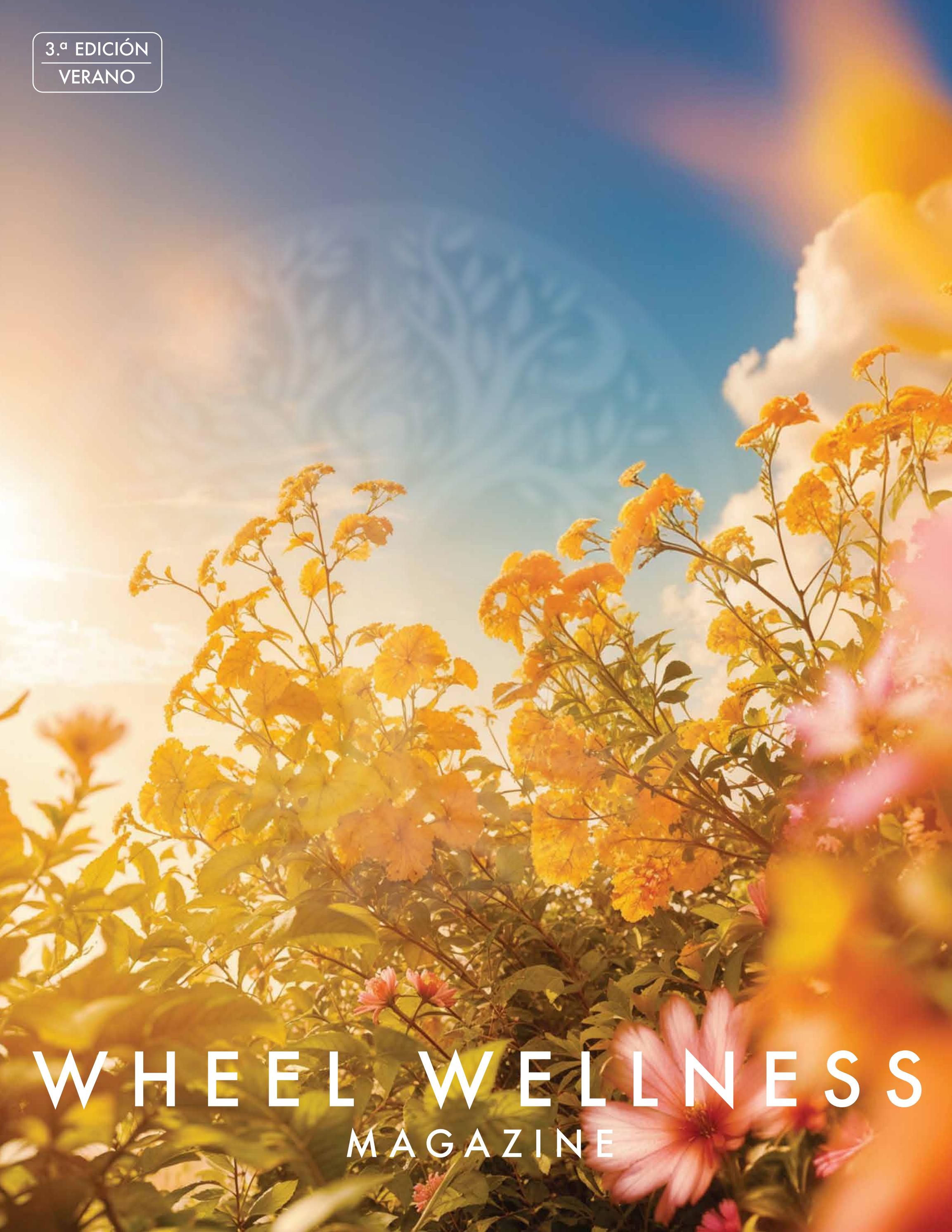 Wheel Wellness Magazine. Edición Verano by wheelwellnessmagazine - Issuu