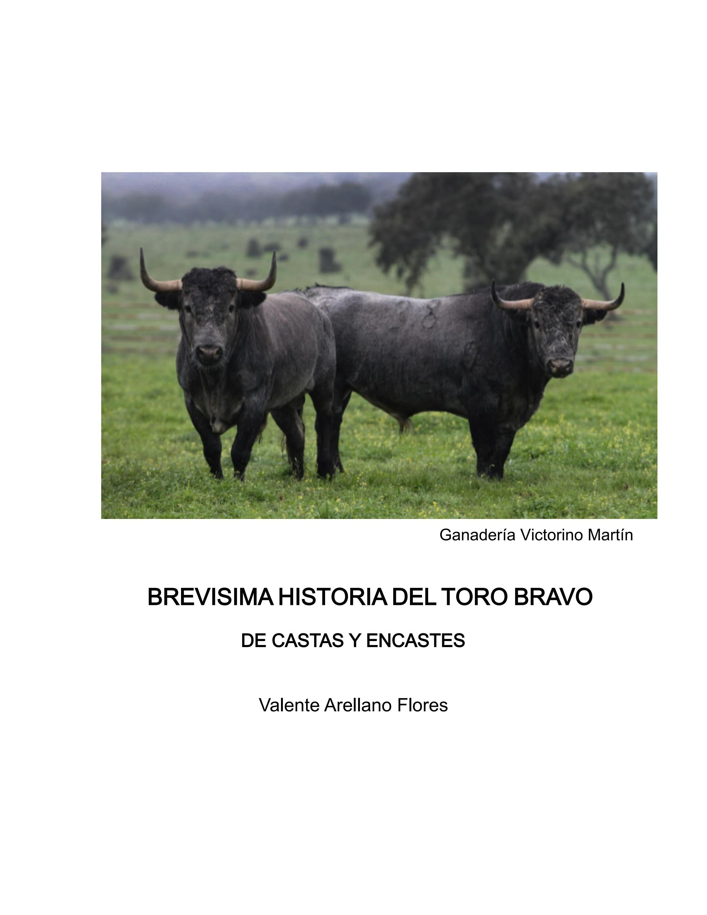 Brevisima historia del toro bravo by FCTH - Issuu