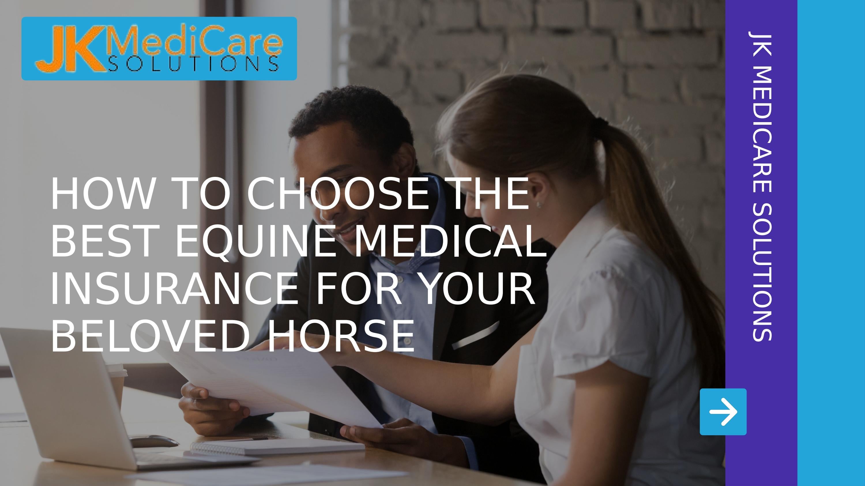How to Choose the Best Equine Medical Insurance for Your Beloved Horse ...
