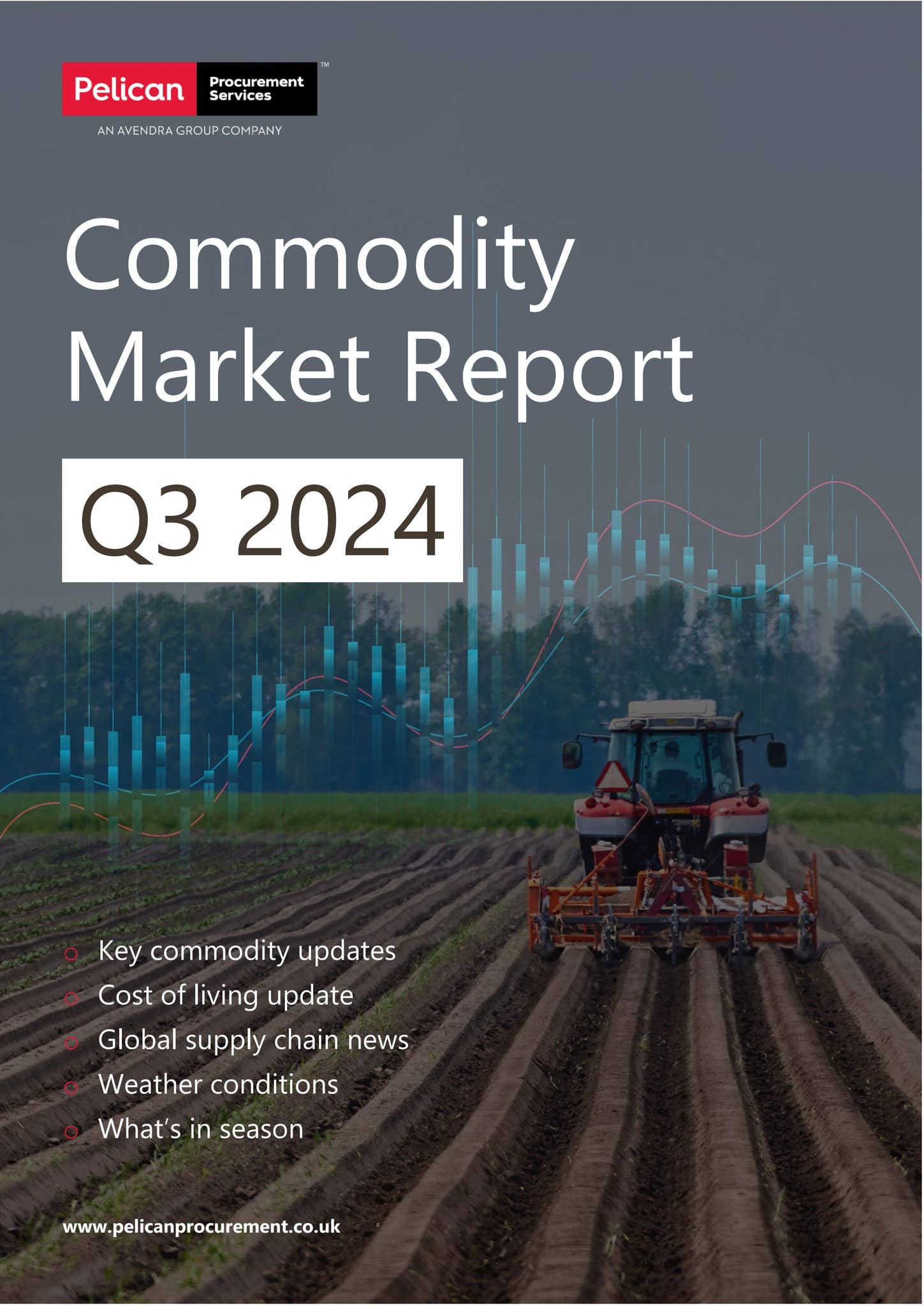 Pelican Procurement Services Market Report Q3 2024 by Avendra ...