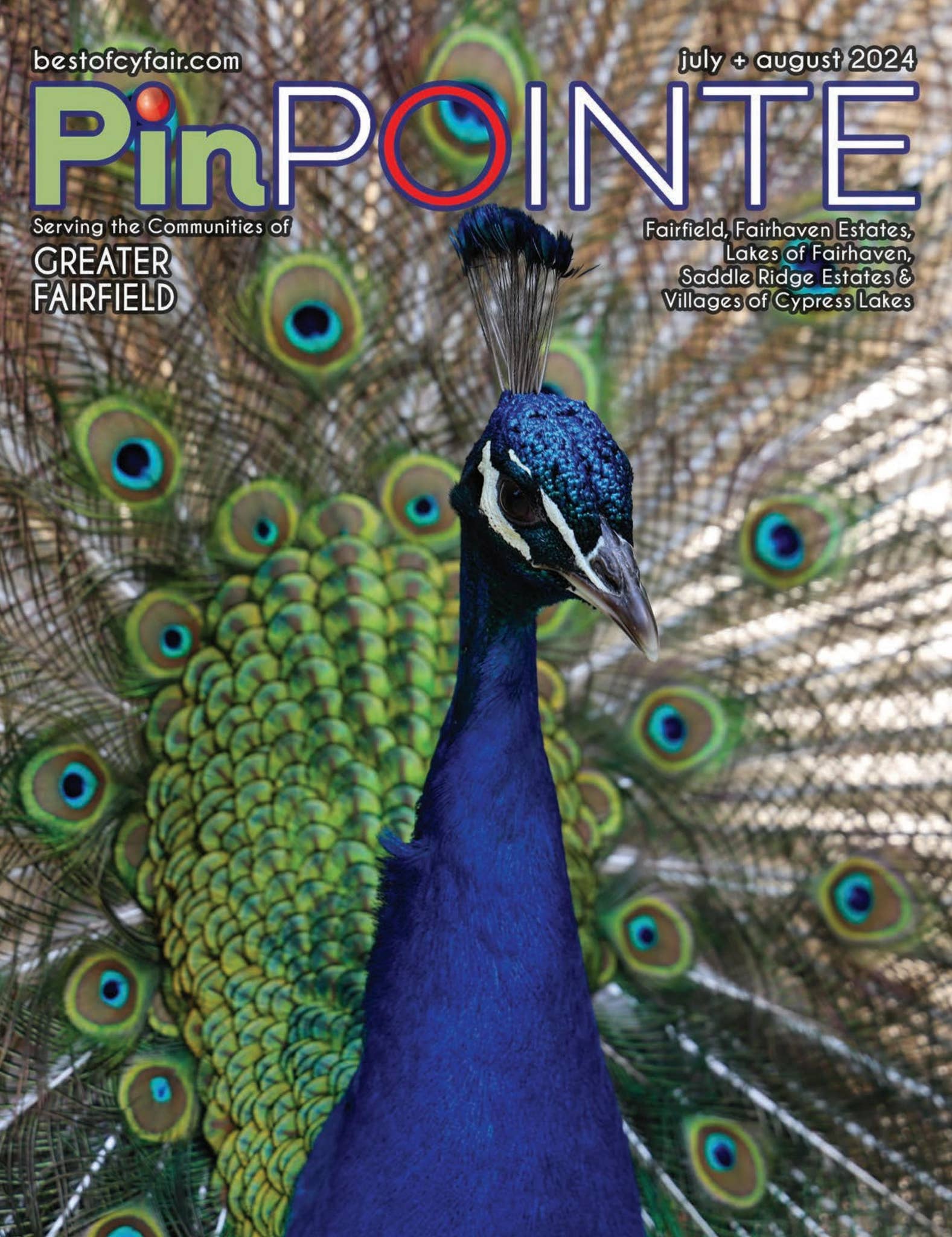 PinPointe Greater Fairfield by Intown Magazine - Issuu