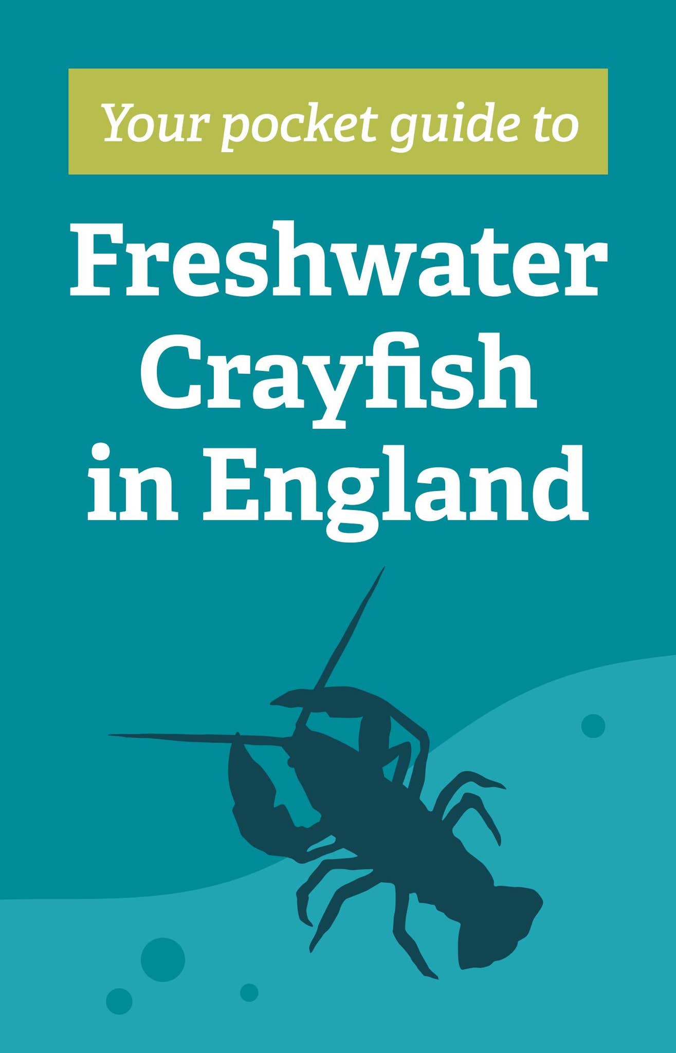 Your pocket guide to freshwater crayfish in England by Yorkshire ...