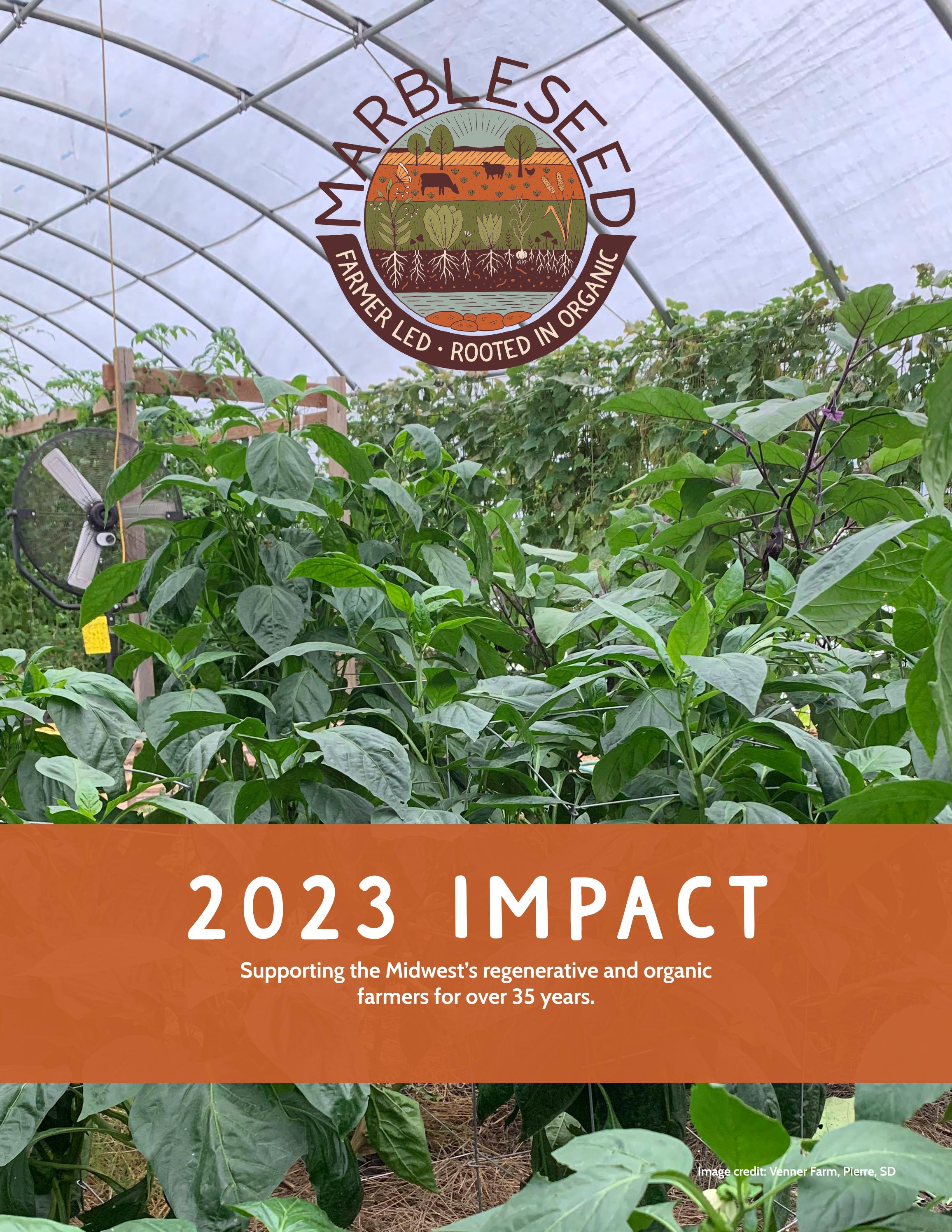Marbleseed Annual Report | 2023 by marbleseed - Issuu