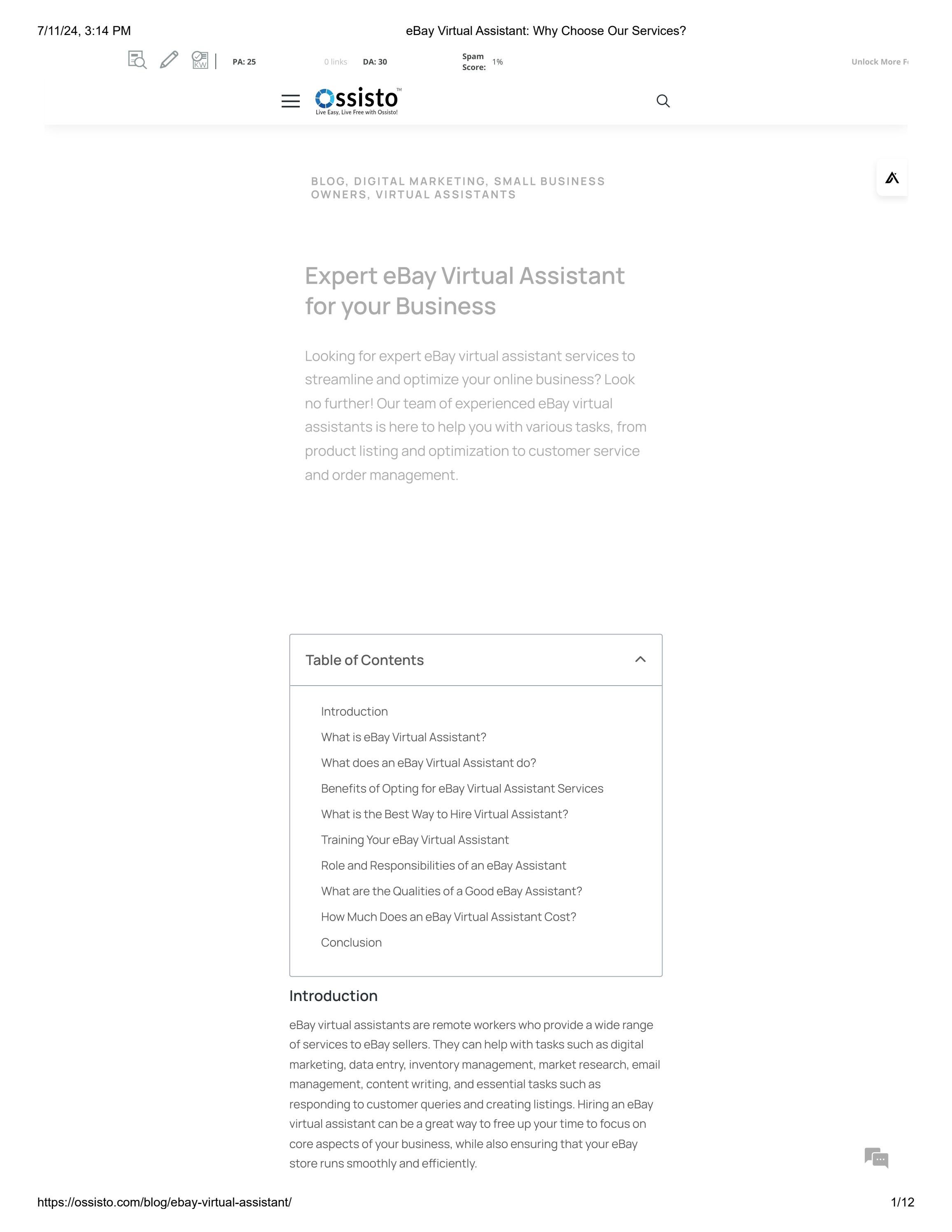 Improve Customer Service with an eBay Virtual Assistant by Ossisto ...