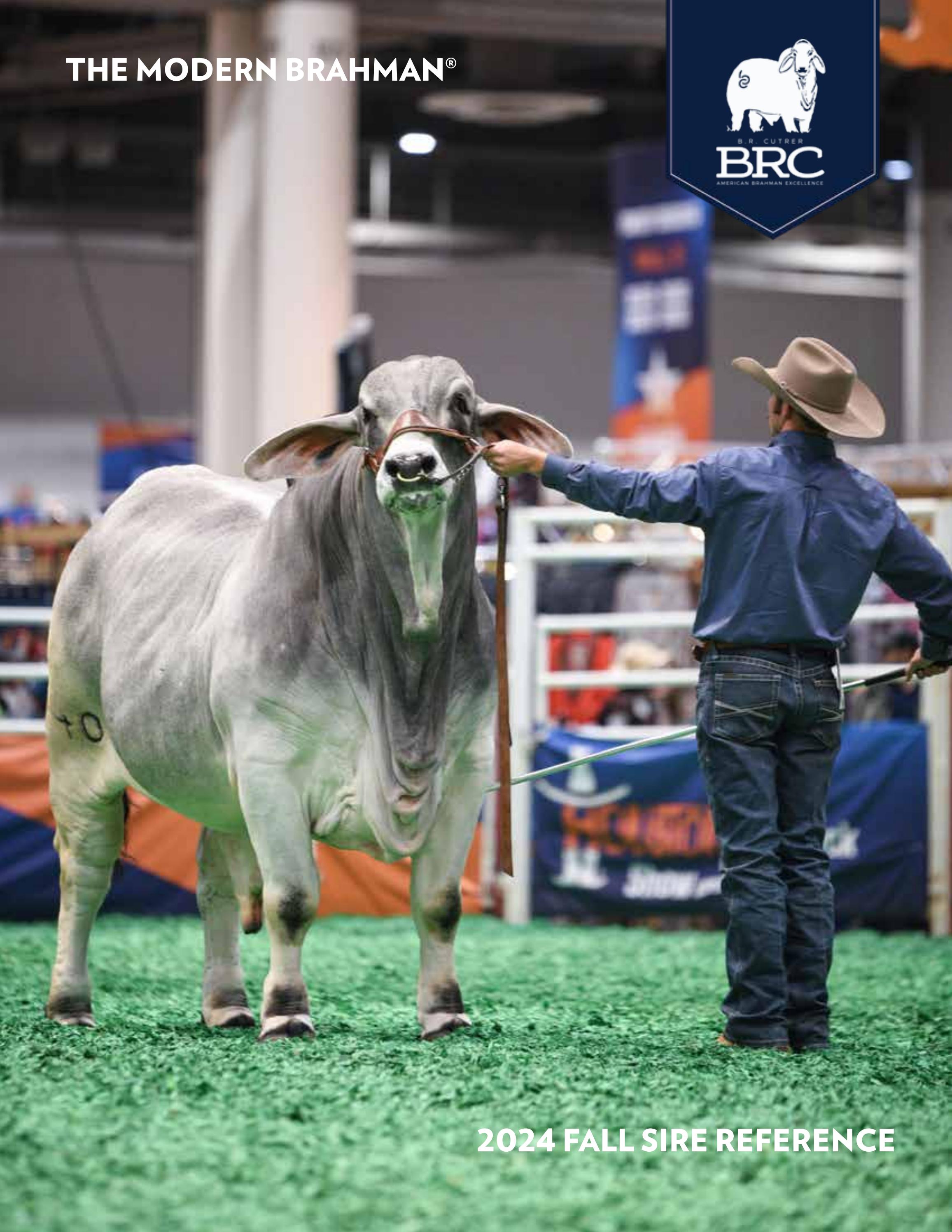 Fall 2024 BRC Sire Directory by Ranch House Designs - Issuu