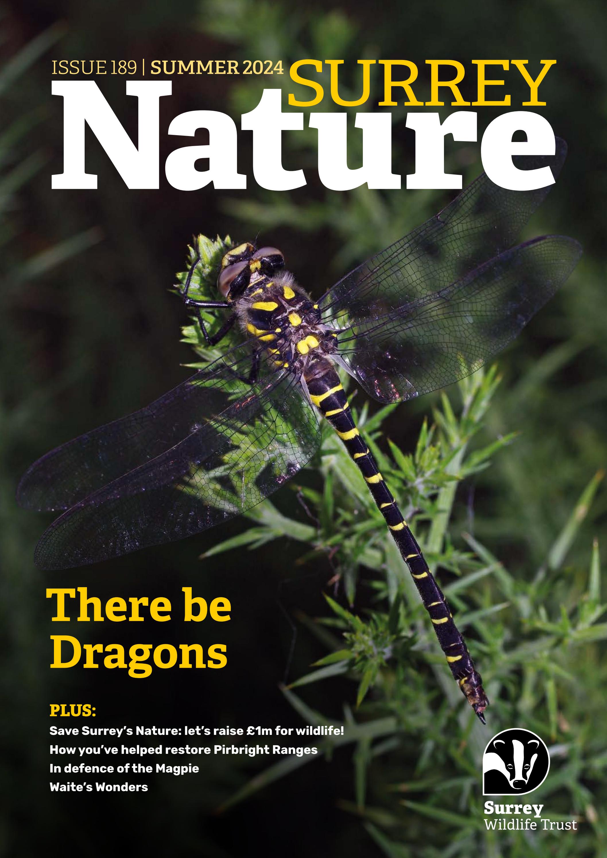 Surrey Nature Issue 189: Summer 2024 by SurreyWT - Issuu