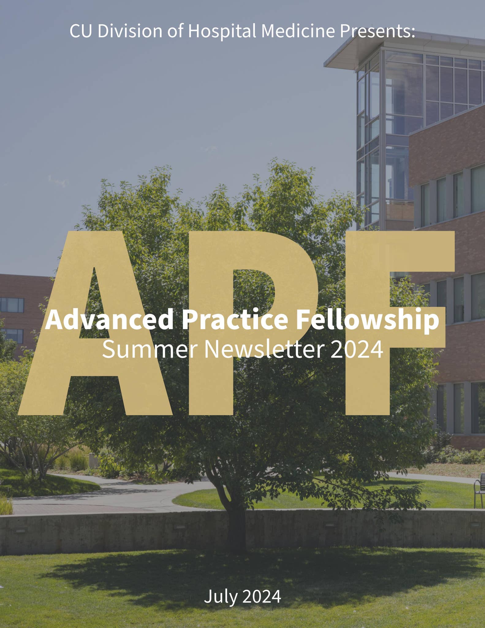 APF Summer Newsletter 2024 by CU Division of Hospital Medicine - Issuu
