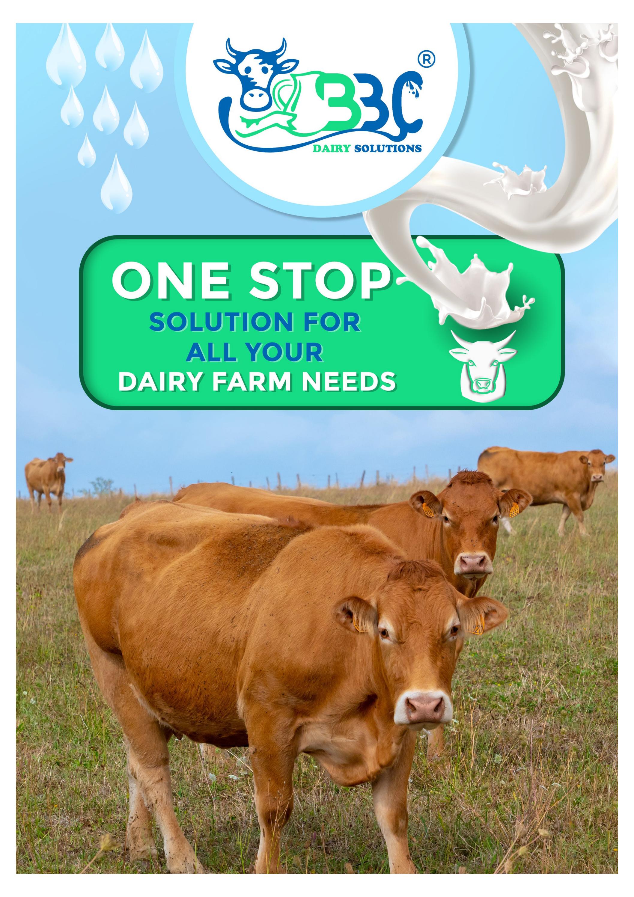 BBC Dairy Solutions Brochure by BBC Dairy Solutions - Issuu