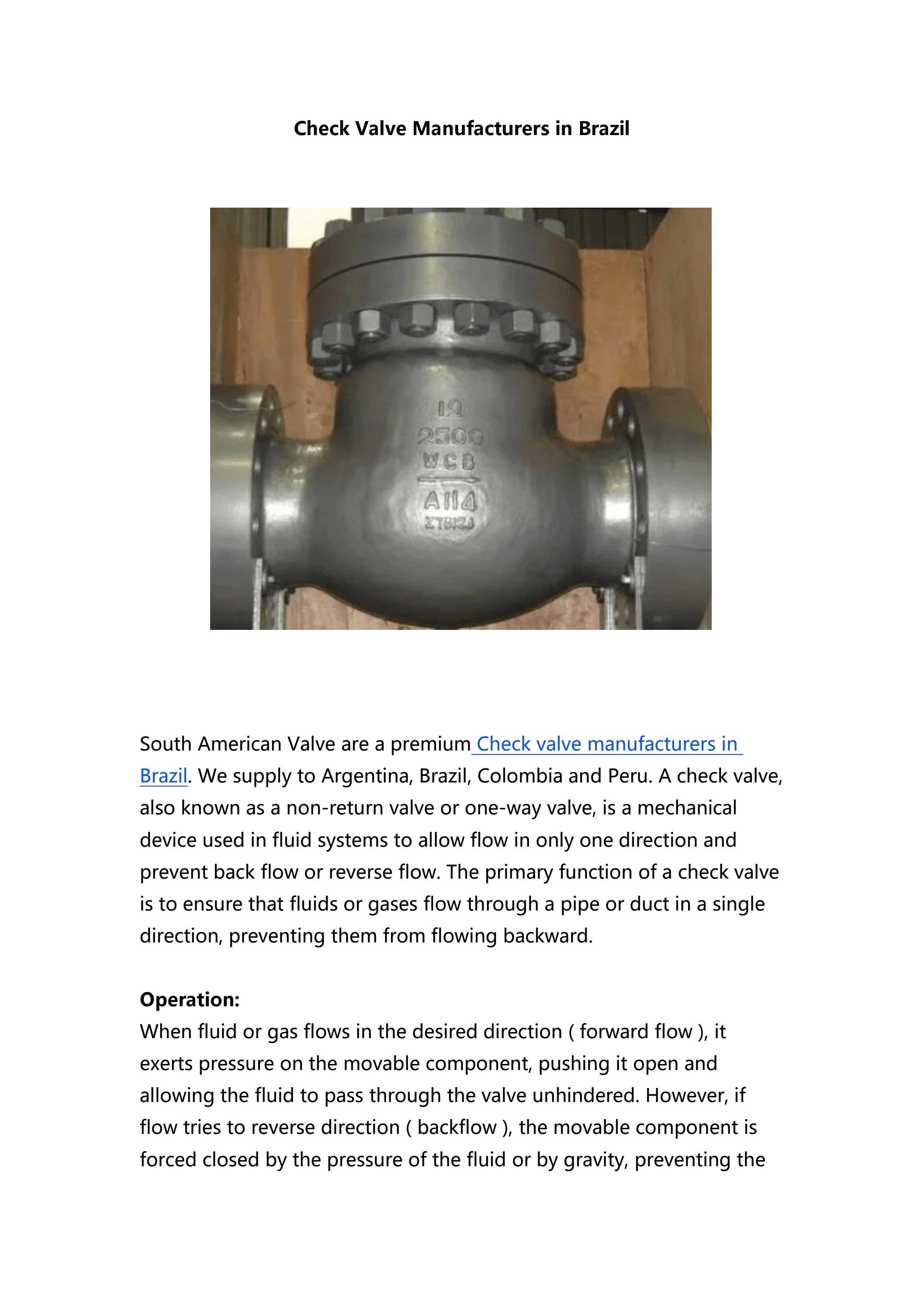 Check Valve Manufacturers in Brazil by South American Valve - Issuu