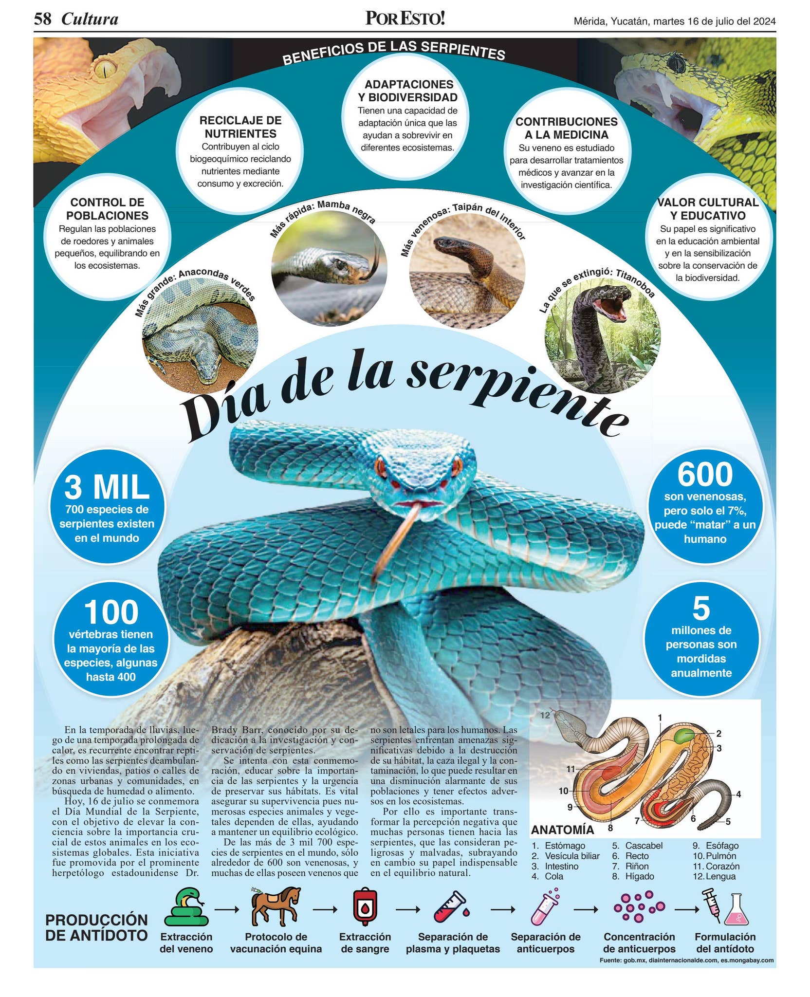 Día de la Serpiente: ¿Por qué se celebra? by PorEsto! - Issuu