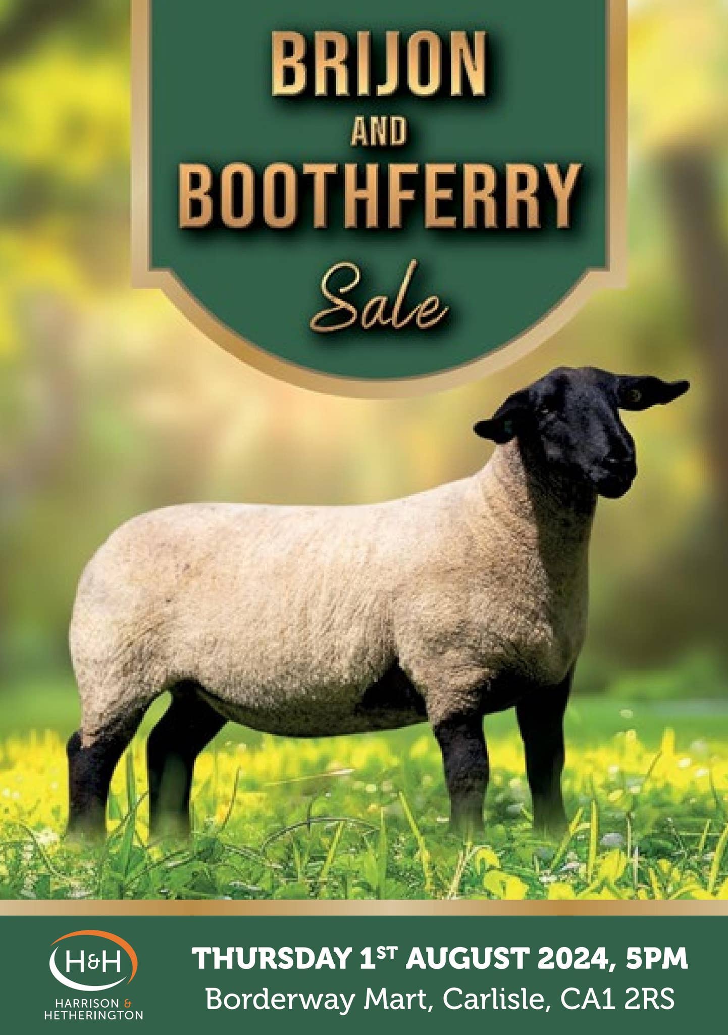 Brijon & Boothferry 2024 by Harrison & Hetherington - Issuu