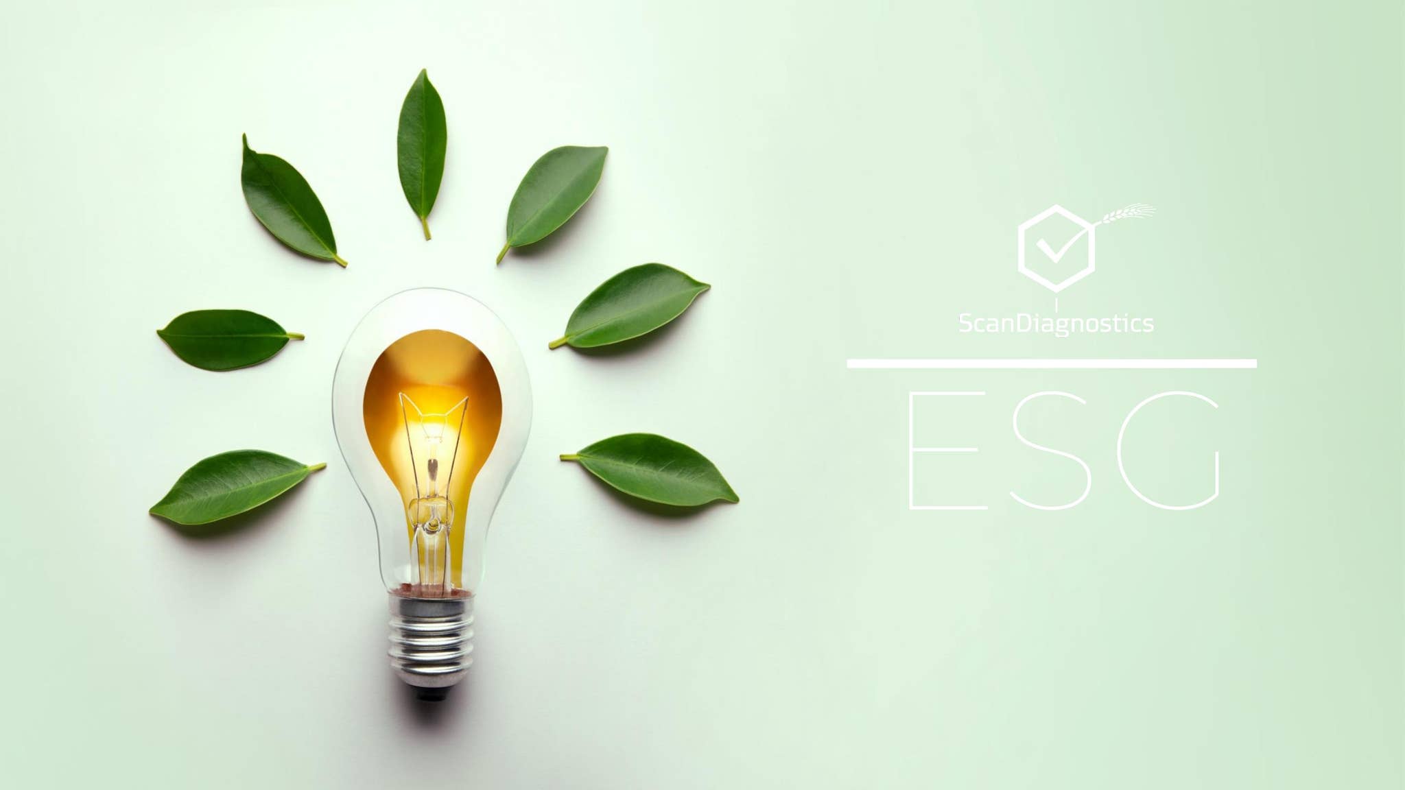 ESG by fooddiag - Issuu
