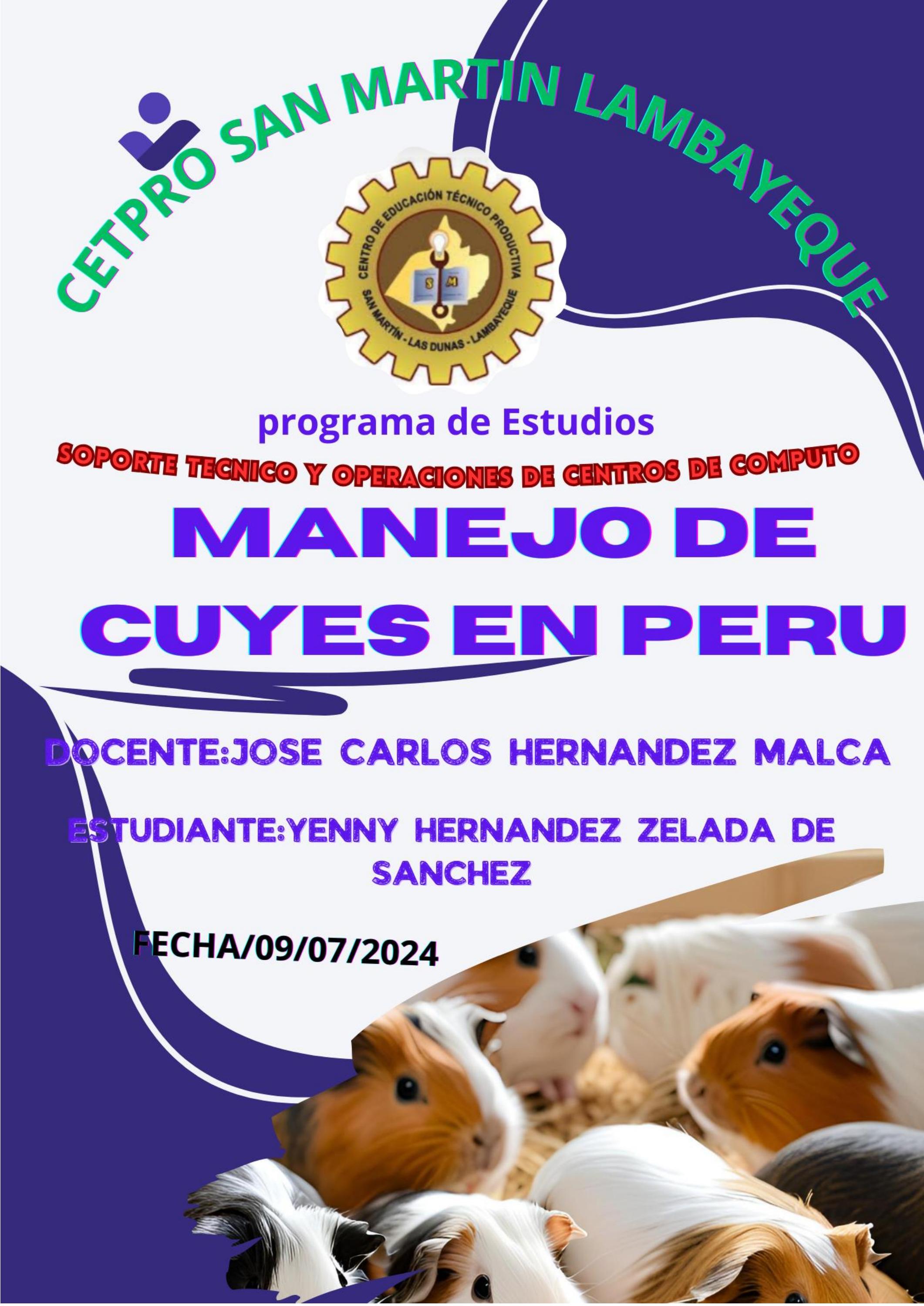 MANEJO DE CUYES EN PERU by Yenny hernandez zelada - Issuu