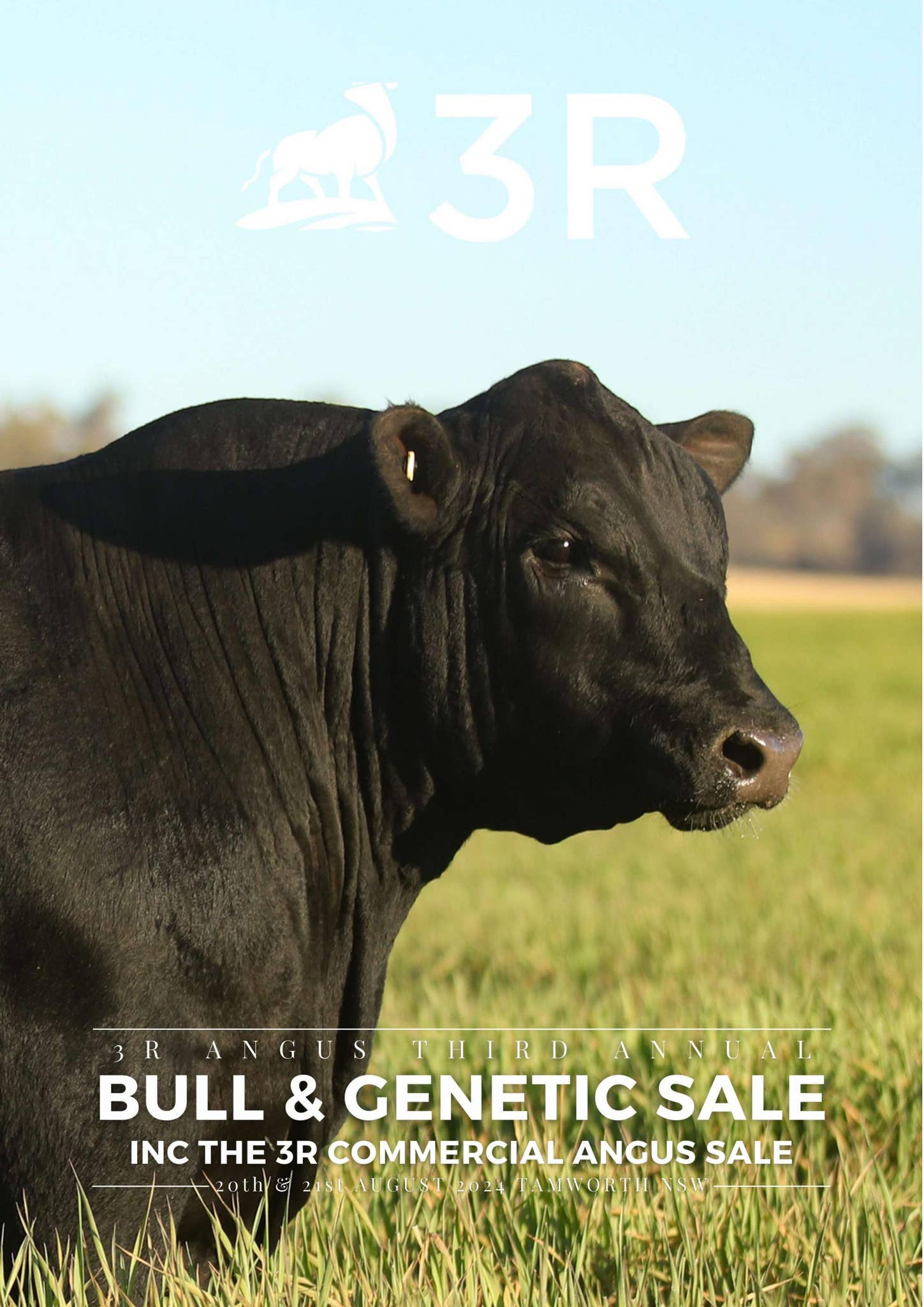 3R Angus Bull & Genetic Sale 2024 by 3R Livestock - Issuu