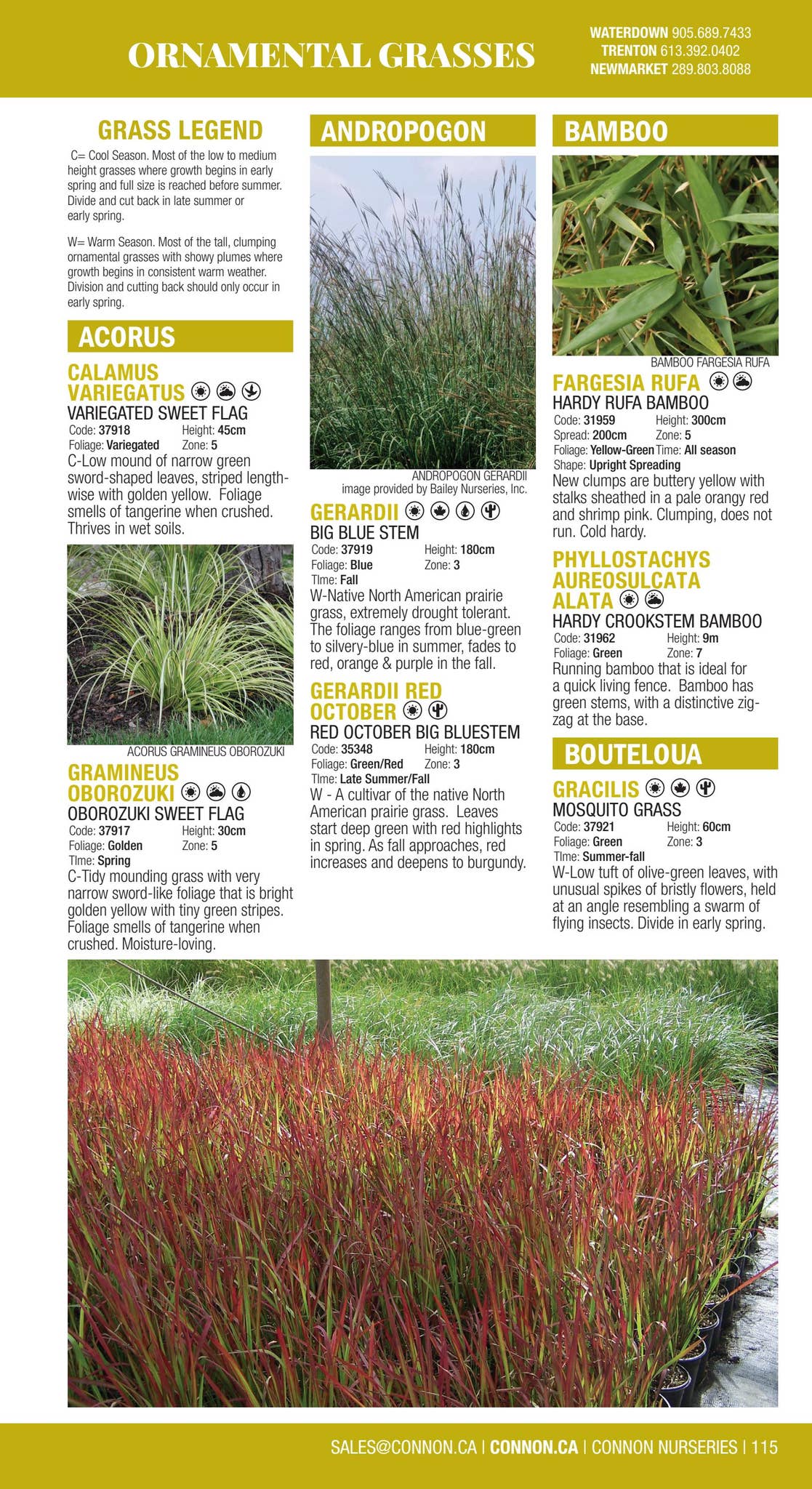 Plant Reference Guide - Ornamental Grasses by ConnonNurseries - Issuu