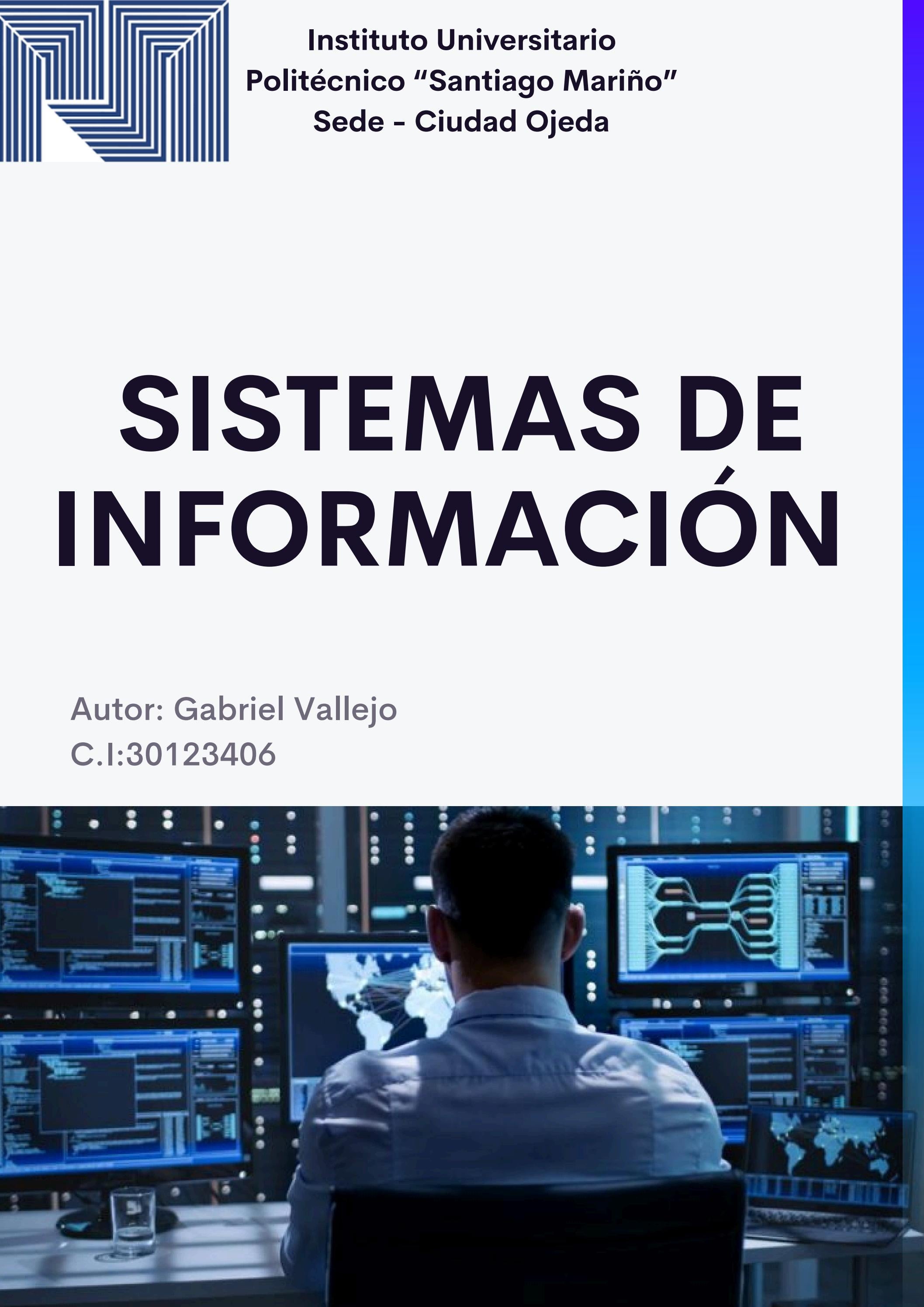 Sistemas de información by Gabriel Vallejo - Issuu