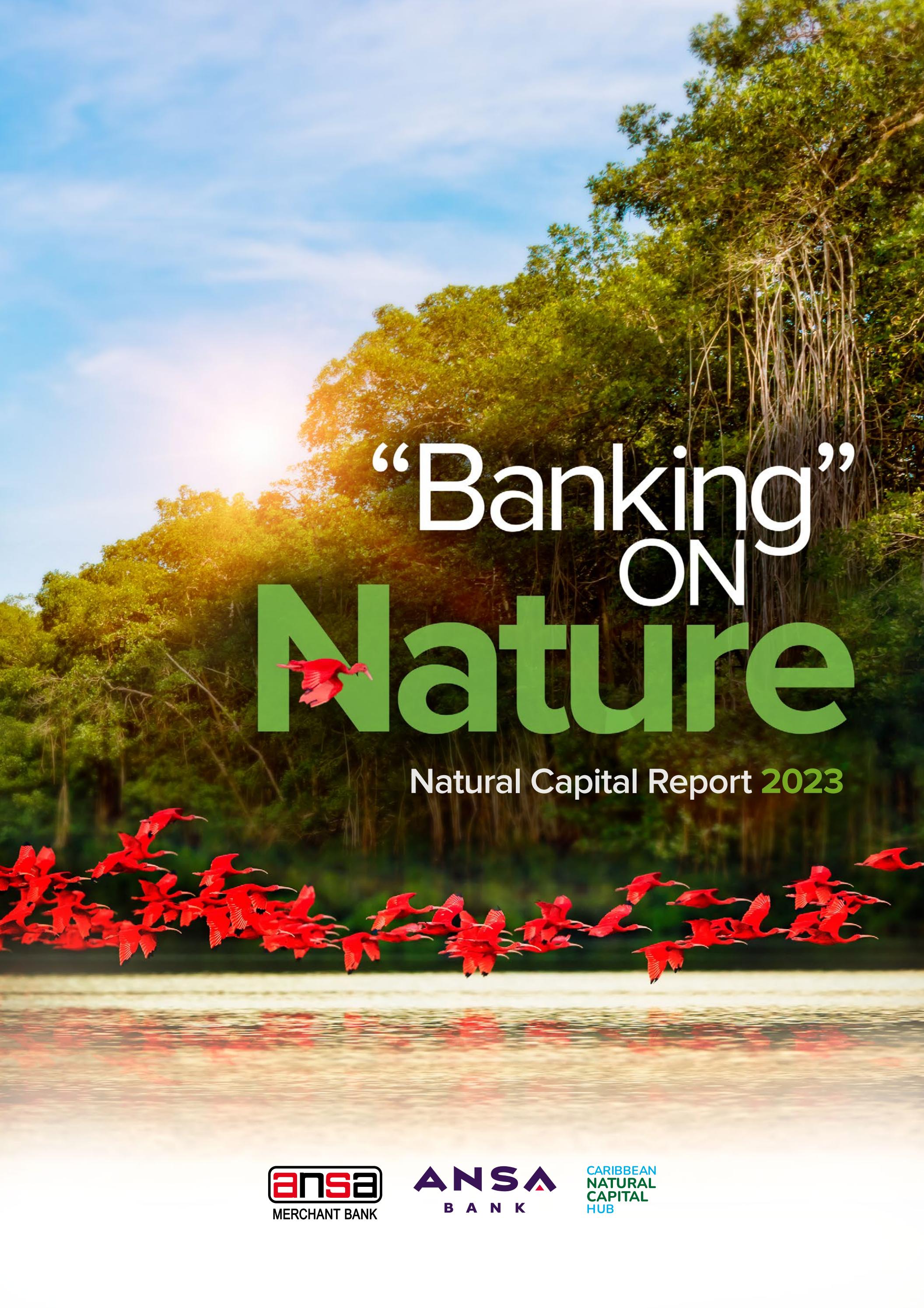 ANSA Bank Natural Capital Report by iuGO Digital - Issuu