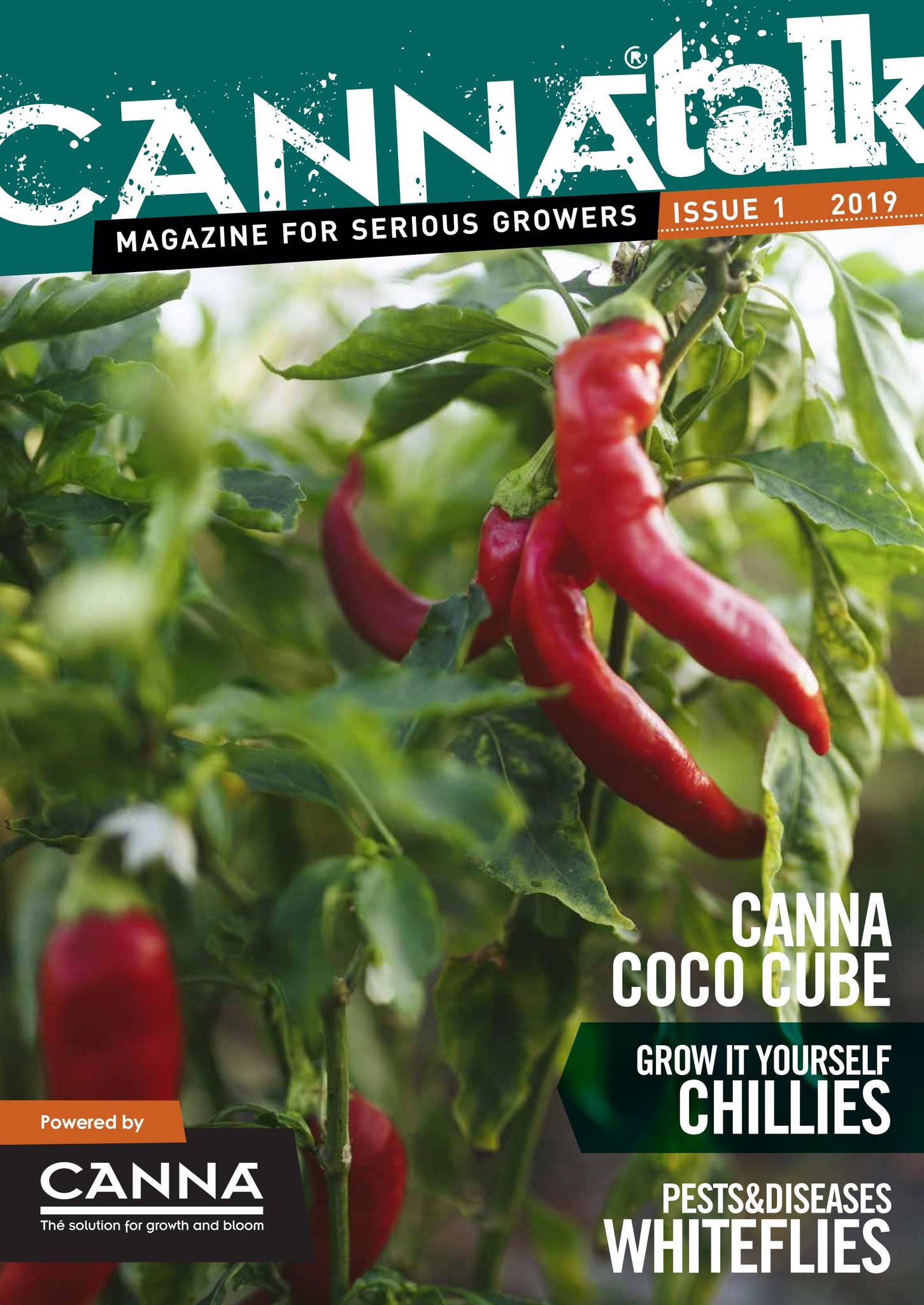 AU CANNAtalk 1 | CANNA Coco Cube, Grow it yourself: Chillies, Pests ...