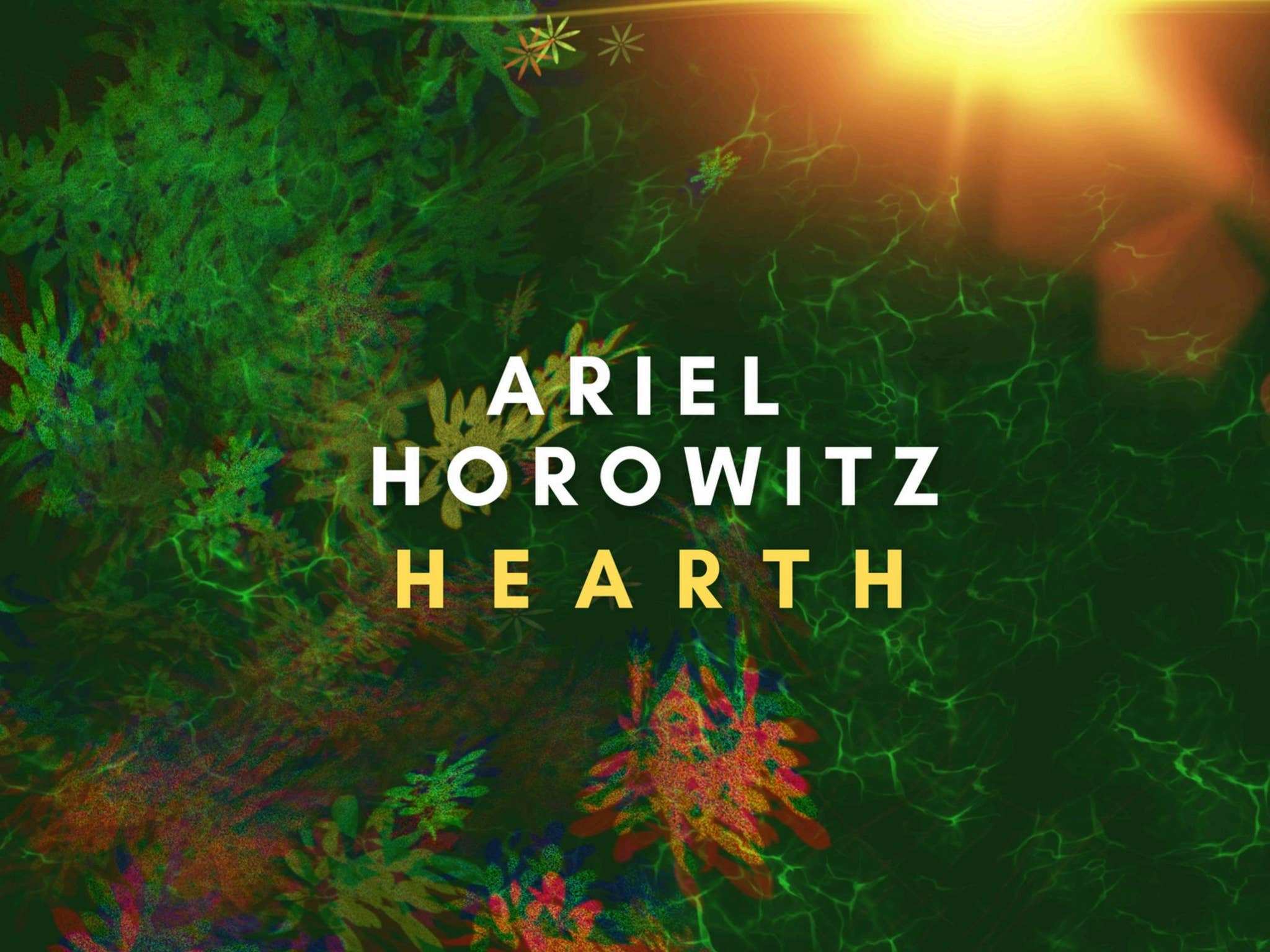 Hearth Digital Booklet by Louis Levitt - Issuu