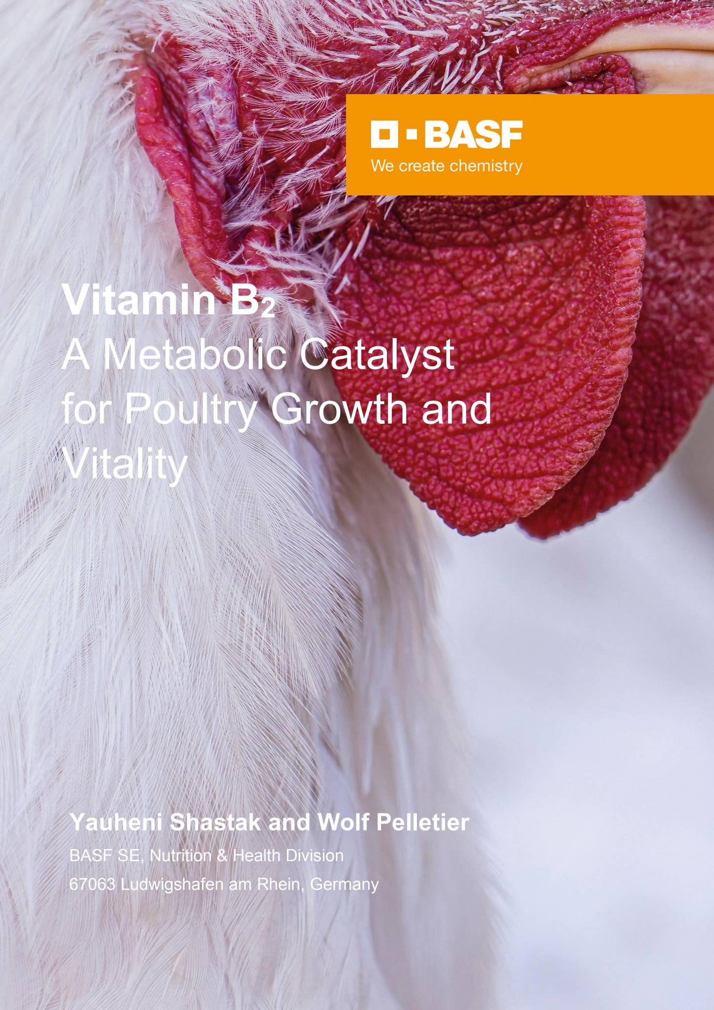 Vitamin B2: A Metabolic Catalyst for Poultry Growth and Vitality ...