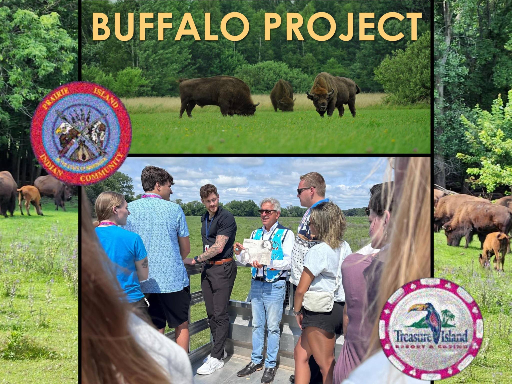 Buffalo Project Tour - TI Interns 2024 by Communication Innovation - Issuu
