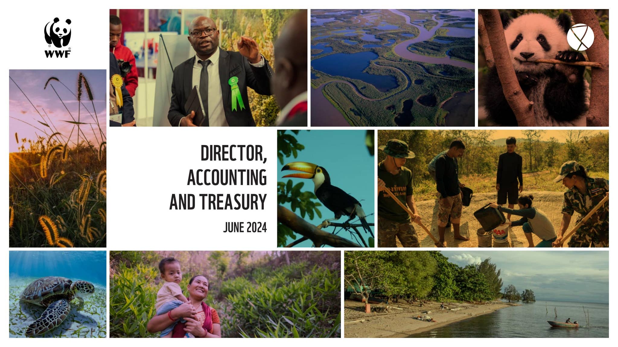 WWF – Director, Accounting and Treasury by Oxford HR - Issuu