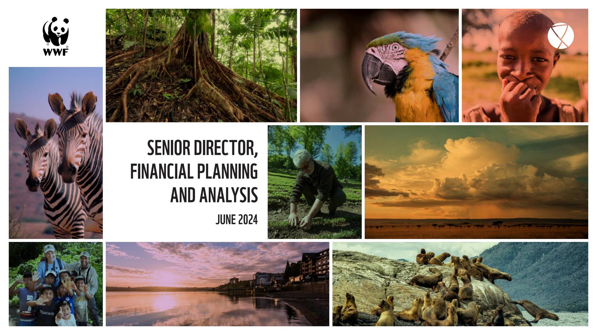 WWF – Senior Director, Financial Planning and Analysis by Oxford HR - Issuu