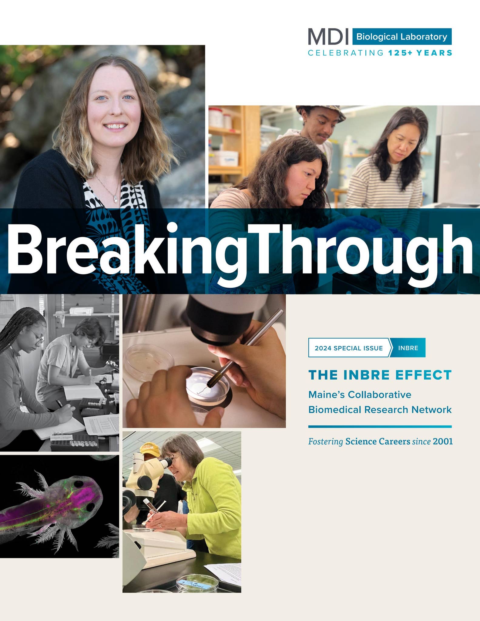 Breaking Through 2024 by MDI Biological Laboratory - Issuu