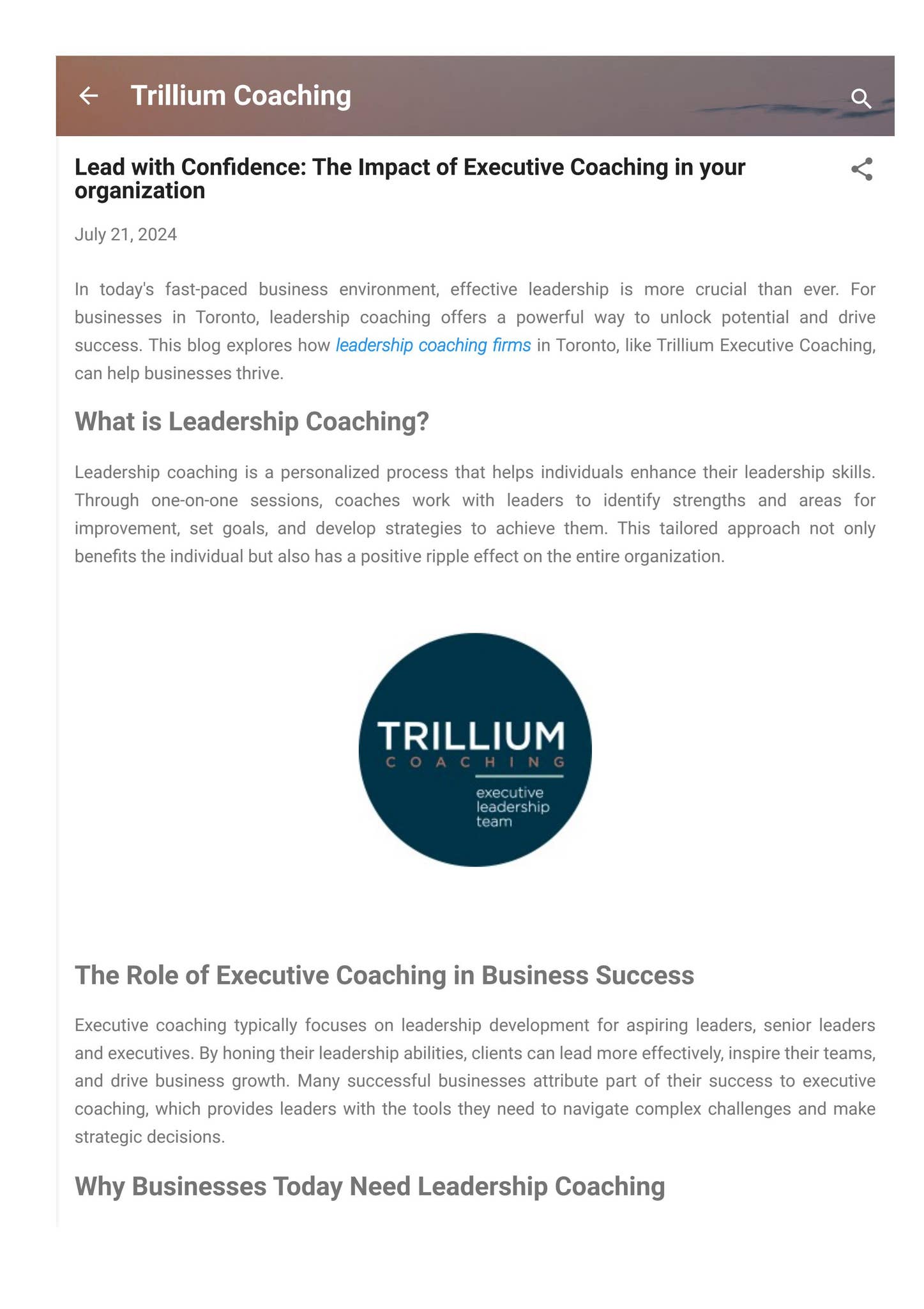 Lead with Confidence: The Impact of Executive Coaching in your ...