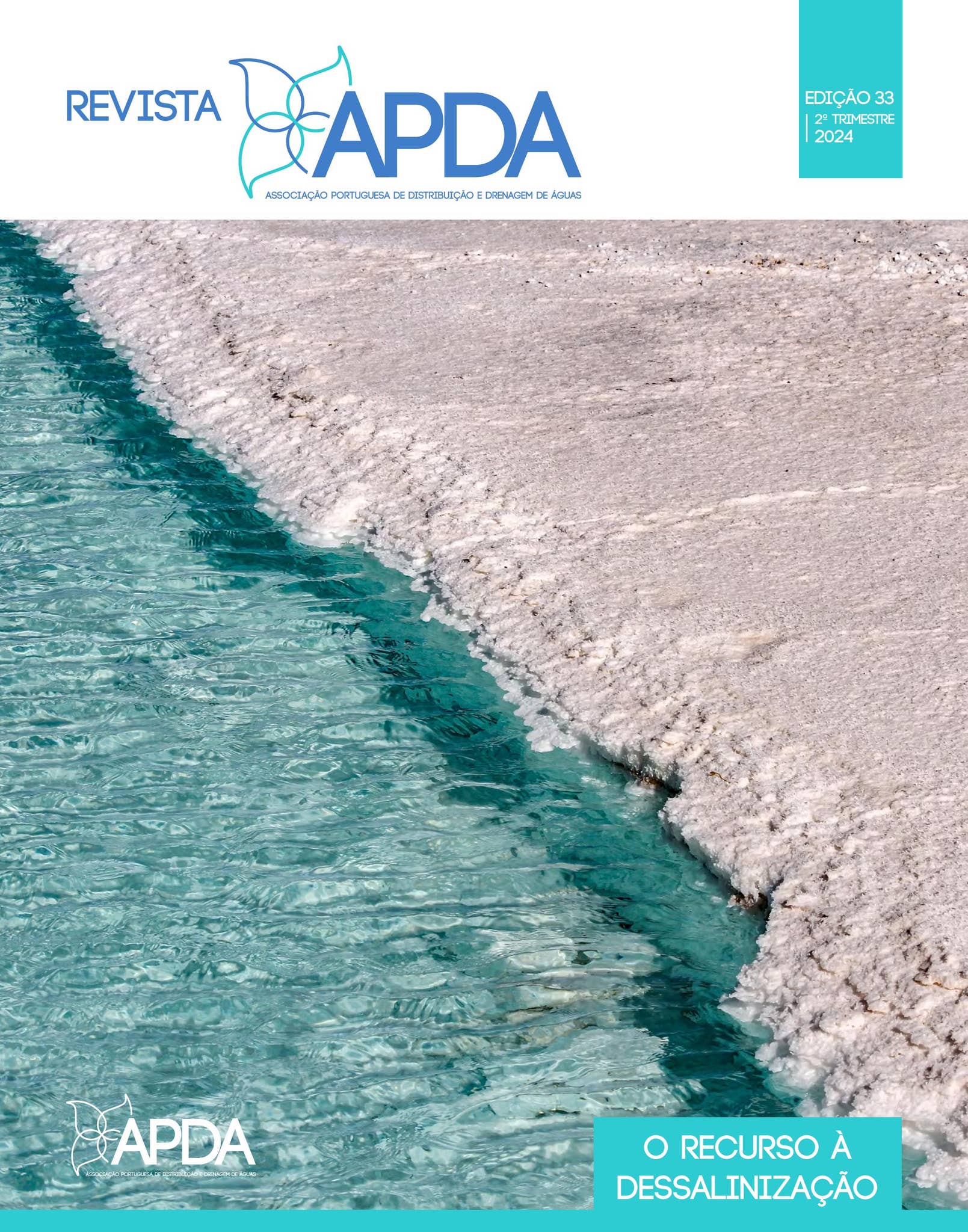 Revista APDA #33 2ºTrimestre 2024 by APDA - Associação Portuguesa de ...