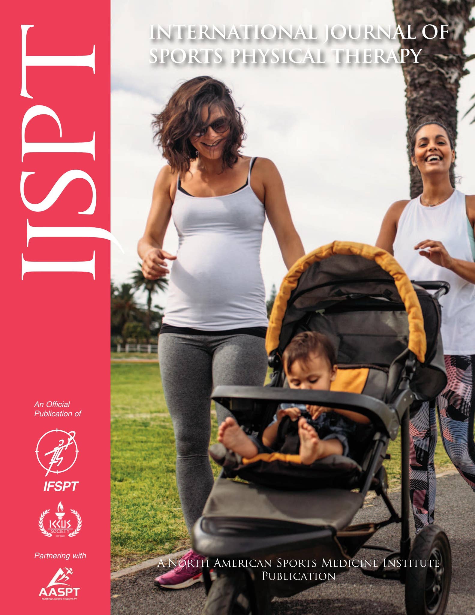 Volume 19 Number 8 IJSPT by IJSPT - Issuu