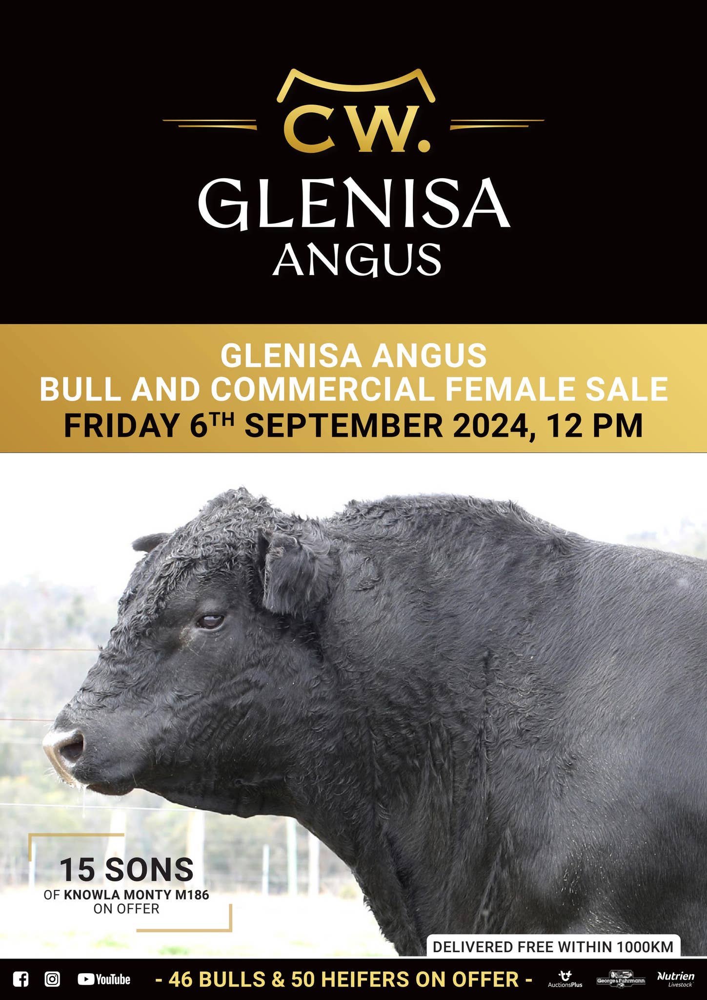 Glenisa Angus 2023 Bull Sale Catalogue by Eight Pointer Creative Agency ...