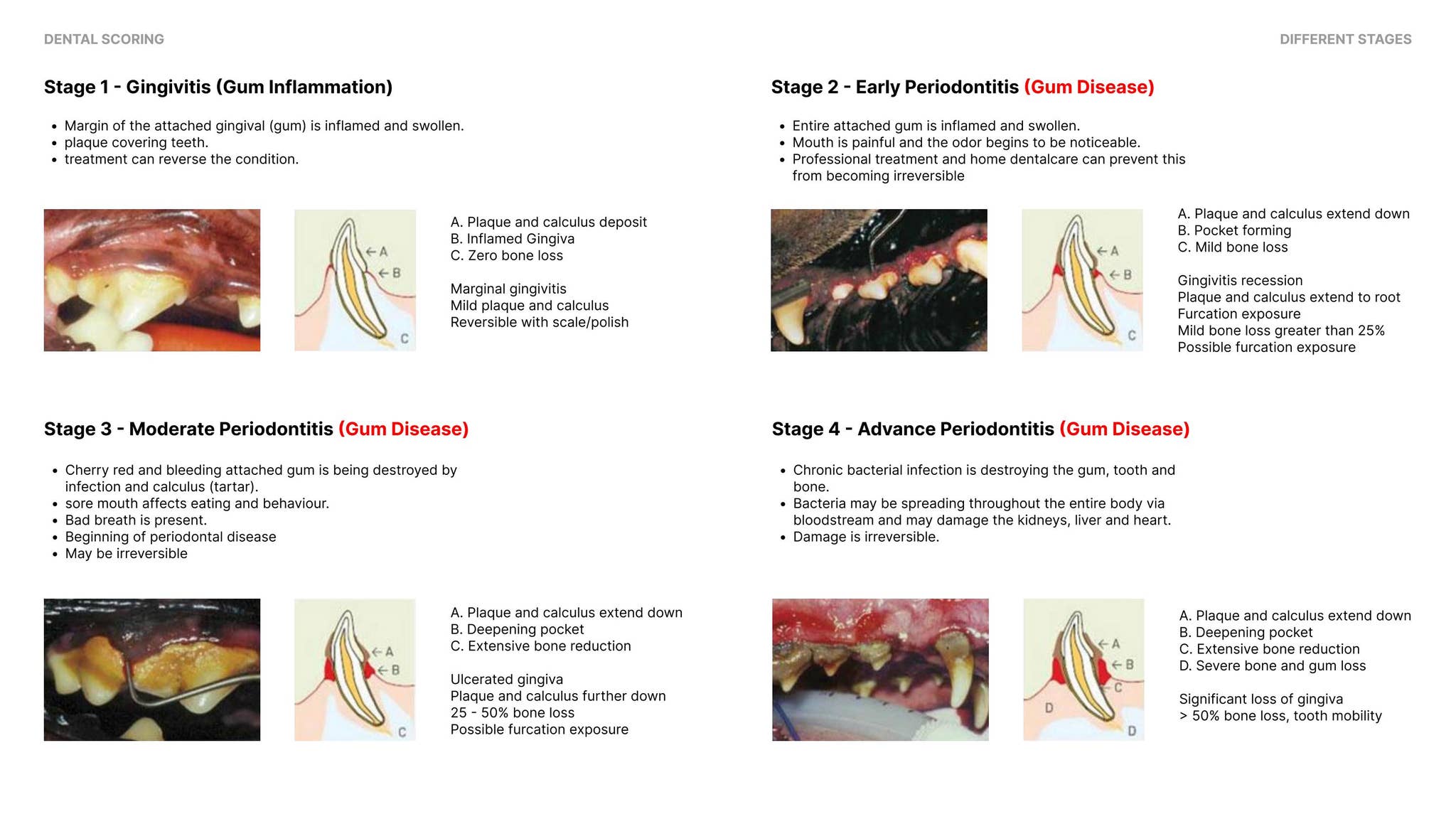 Dental Scoring by Sheryl Yeo - Issuu