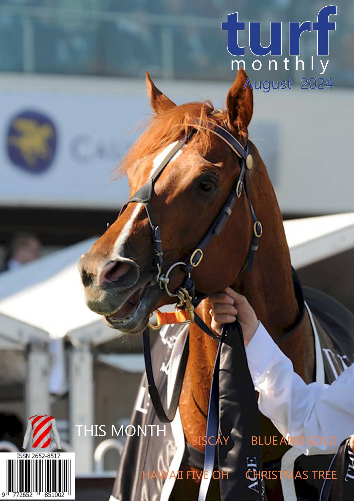 Turf Monthly August 2024 by turfmonthly - Issuu