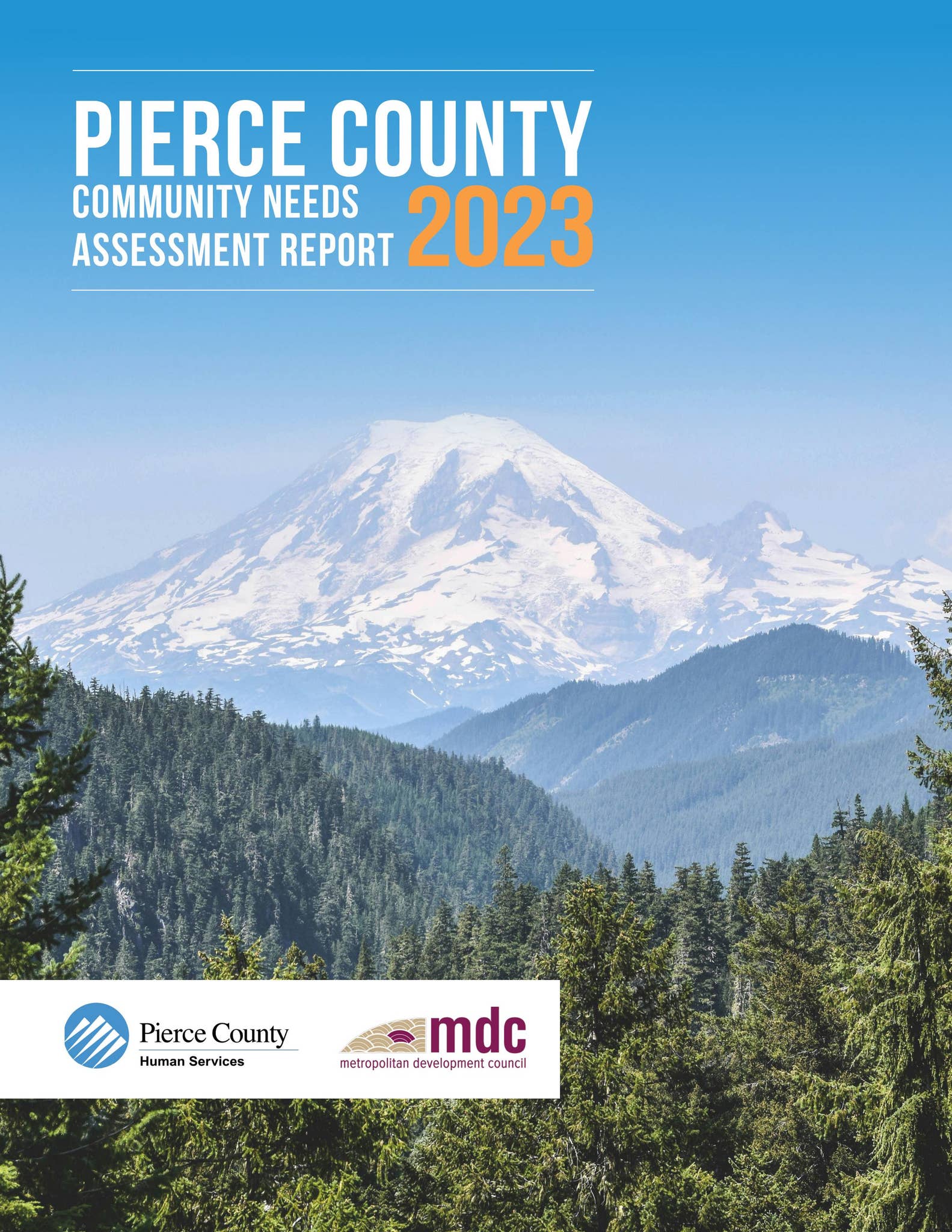 2023 Pierce County Community Needs Assessment by Pierce County - Issuu