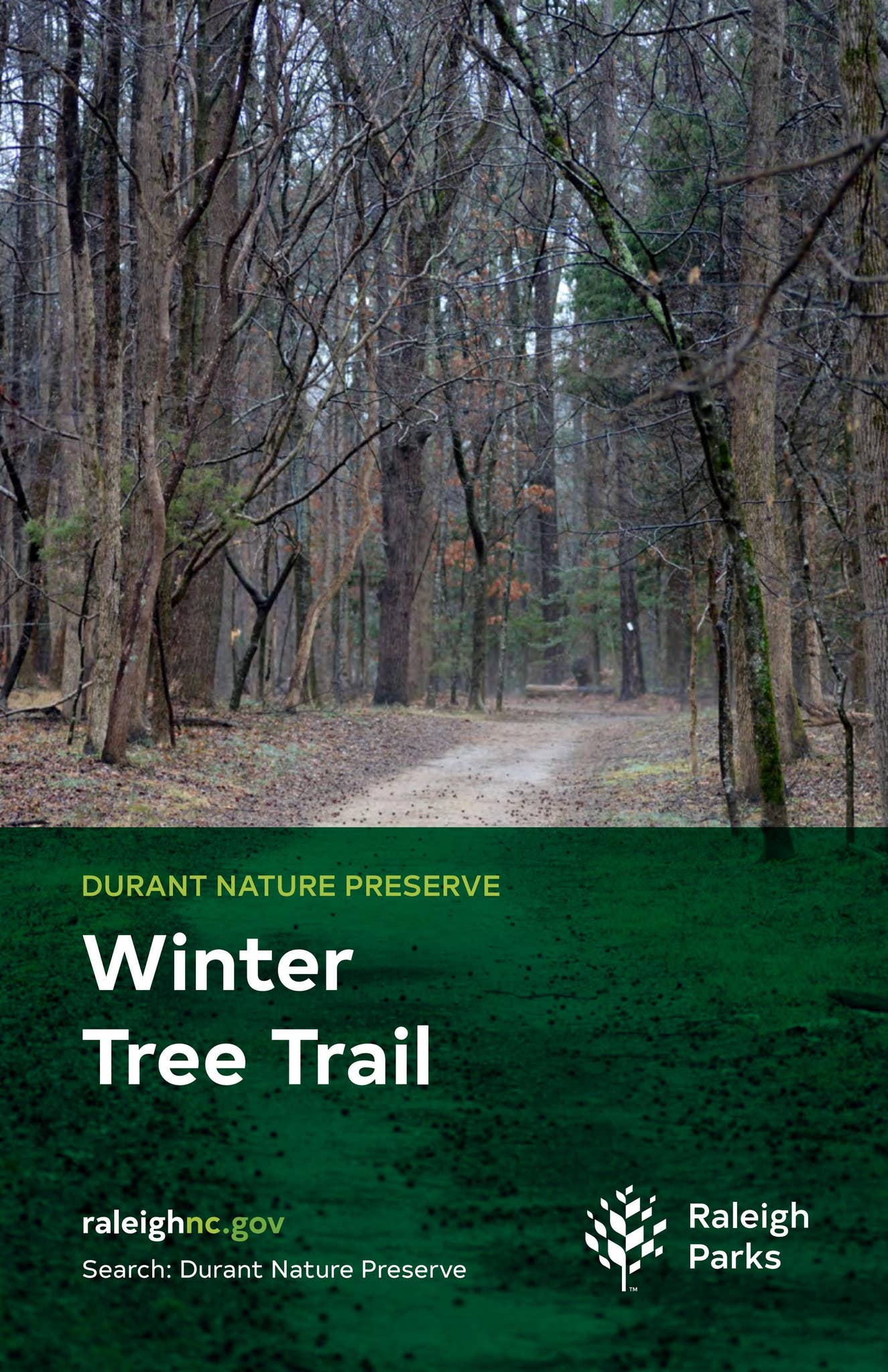 Durant Nature Preserve Winter Tree Trail by RaleighParks - Issuu