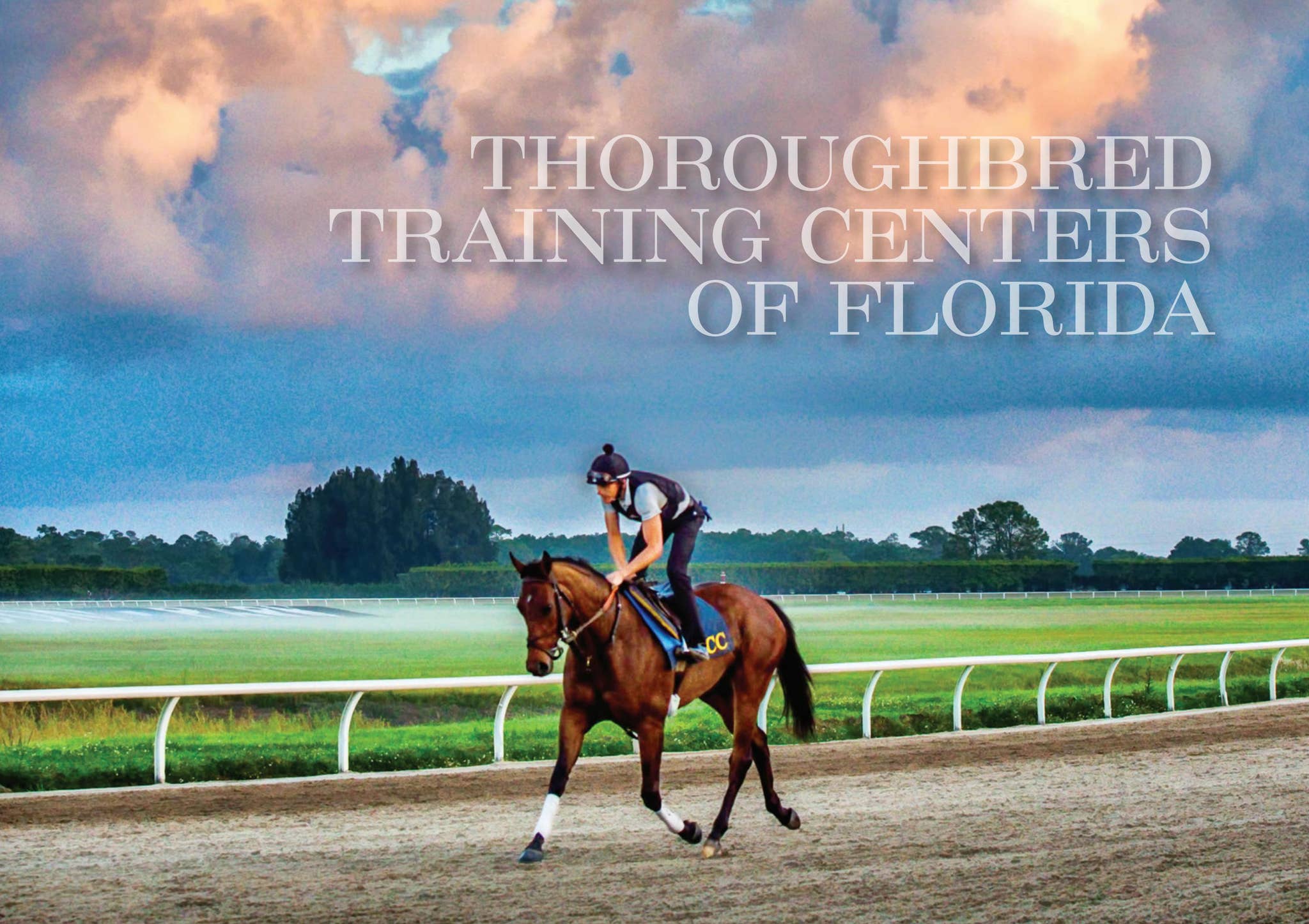Thoroughbred Training Centers of Florida by Florida Equine ...