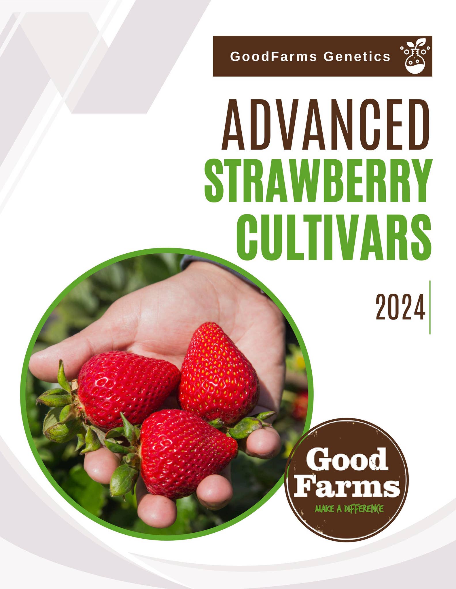 Advanced strawberry cultivars 2024 by GoodFarms - Issuu