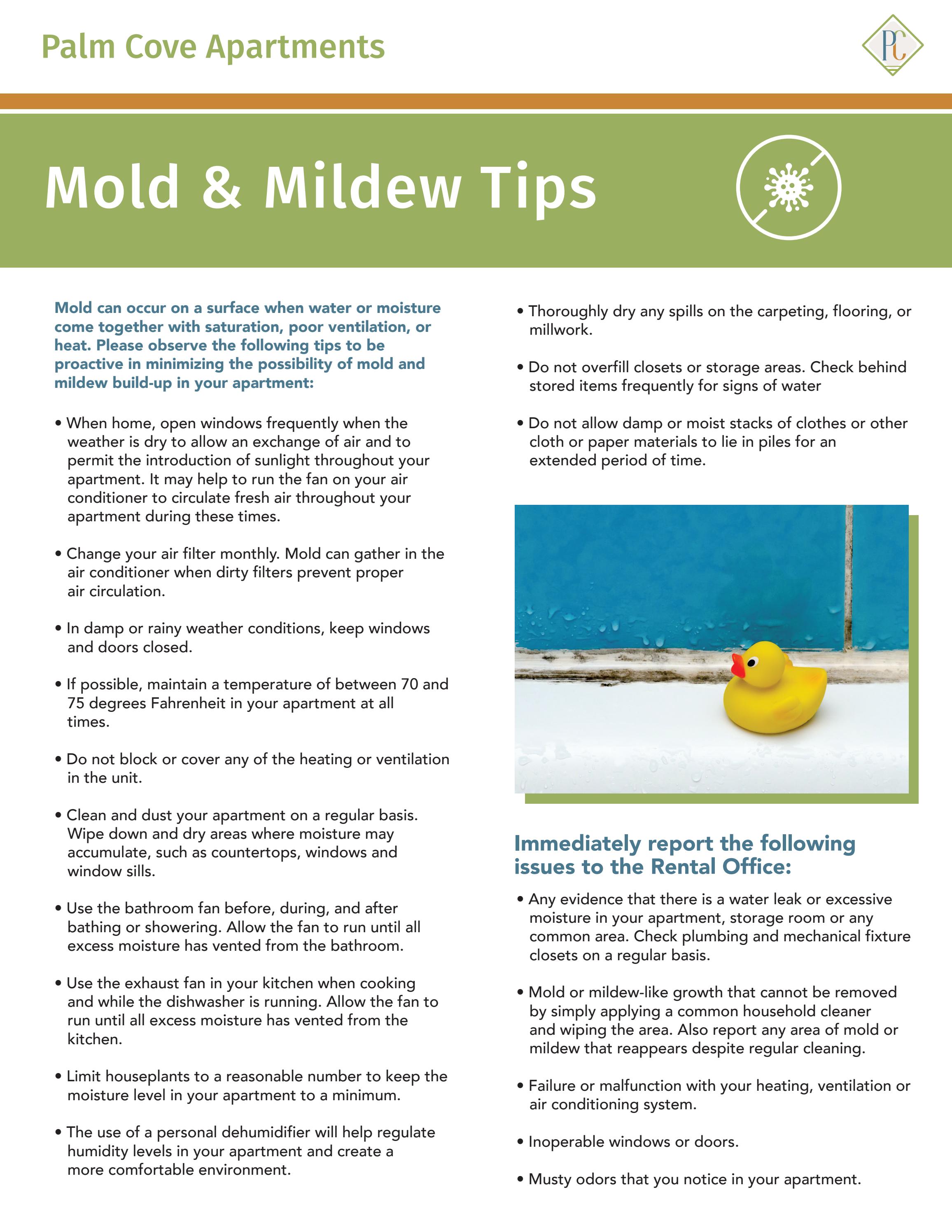 Mold & Mildew Tips by Palm Cove Apartments - Issuu
