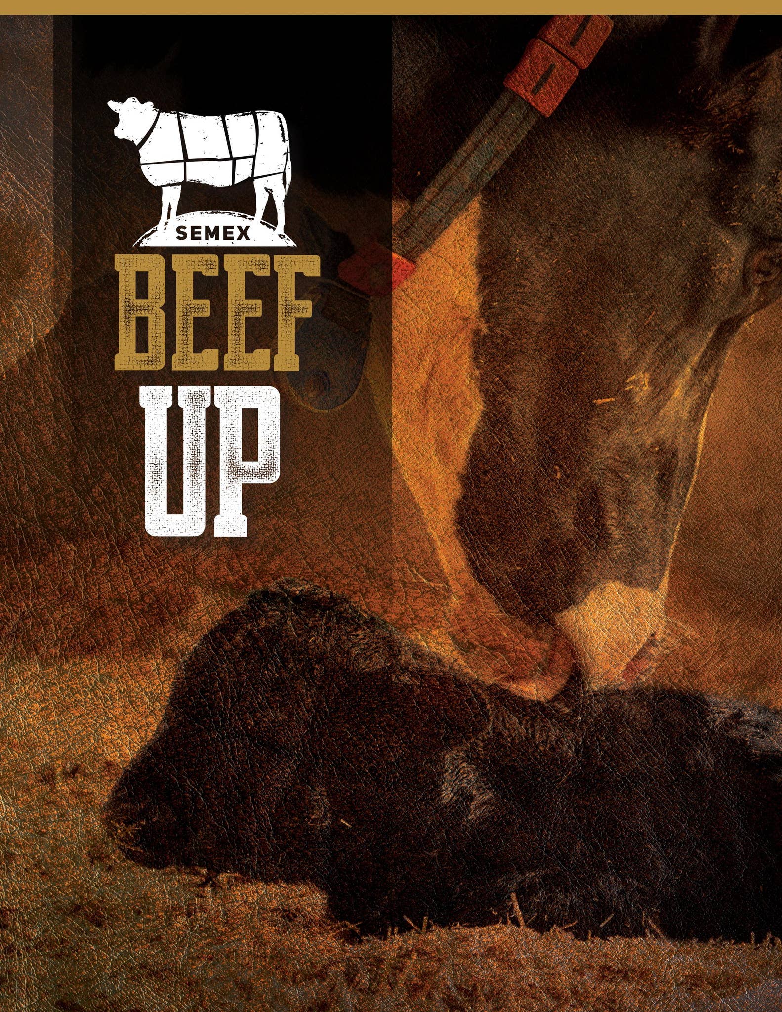 Semex Beef Up Handbook by Semex - Issuu