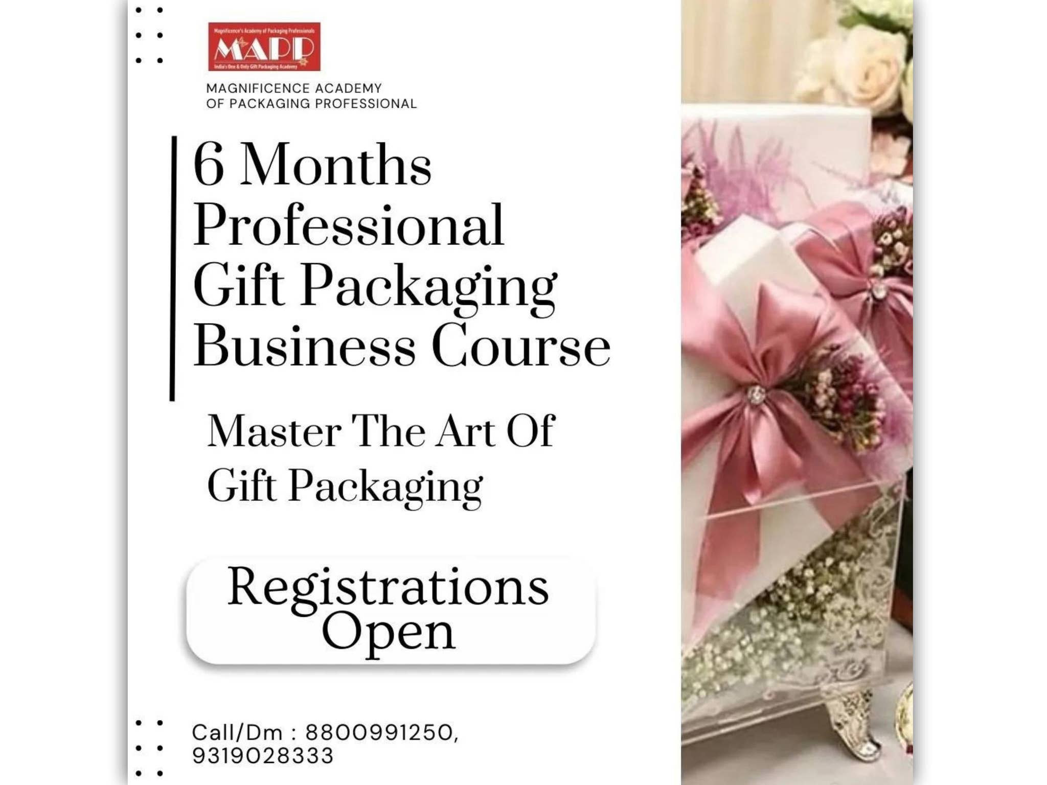 MAPP’ Six-Month Professional Courses to Make Entrepreneur Dreams a ...