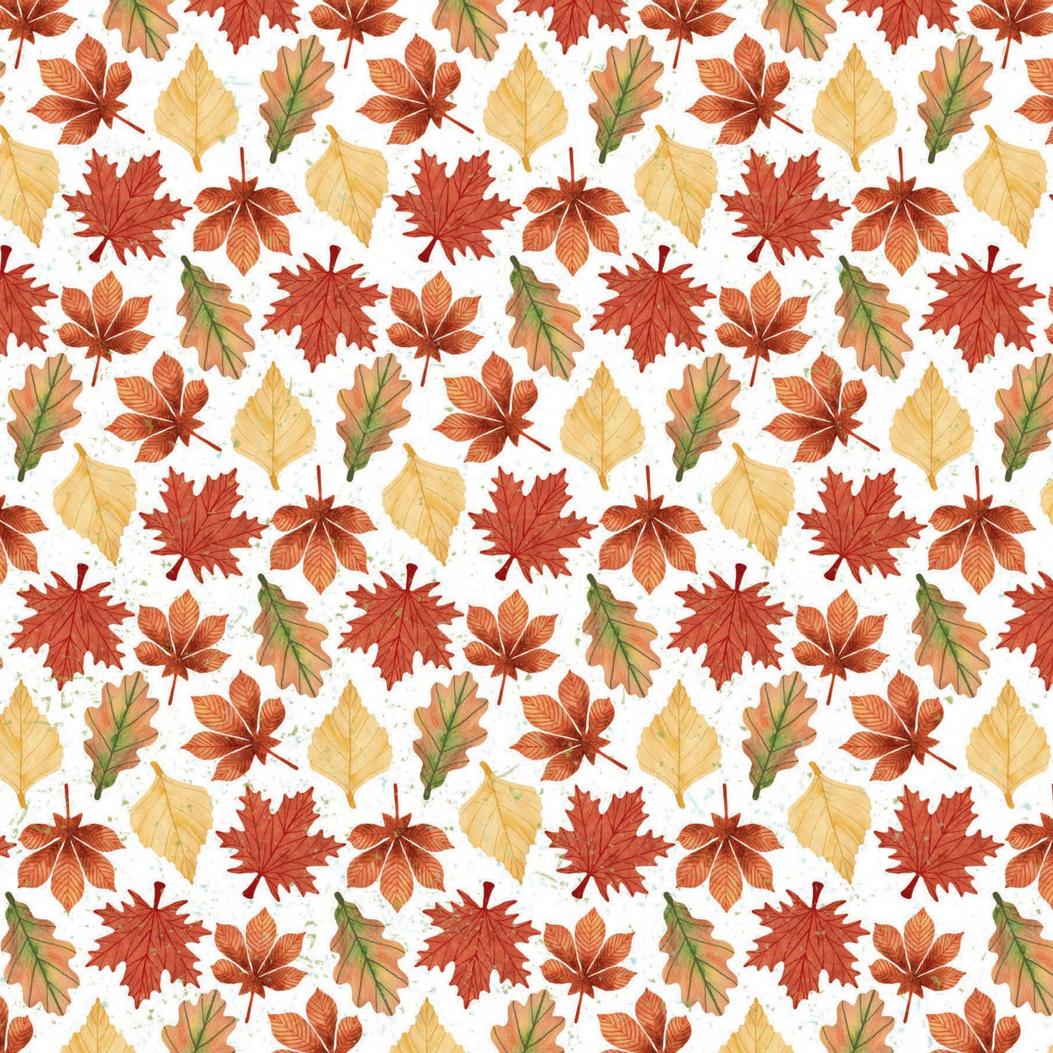 Autumn Cottage Paper Pack by Creative Memories - Issuu